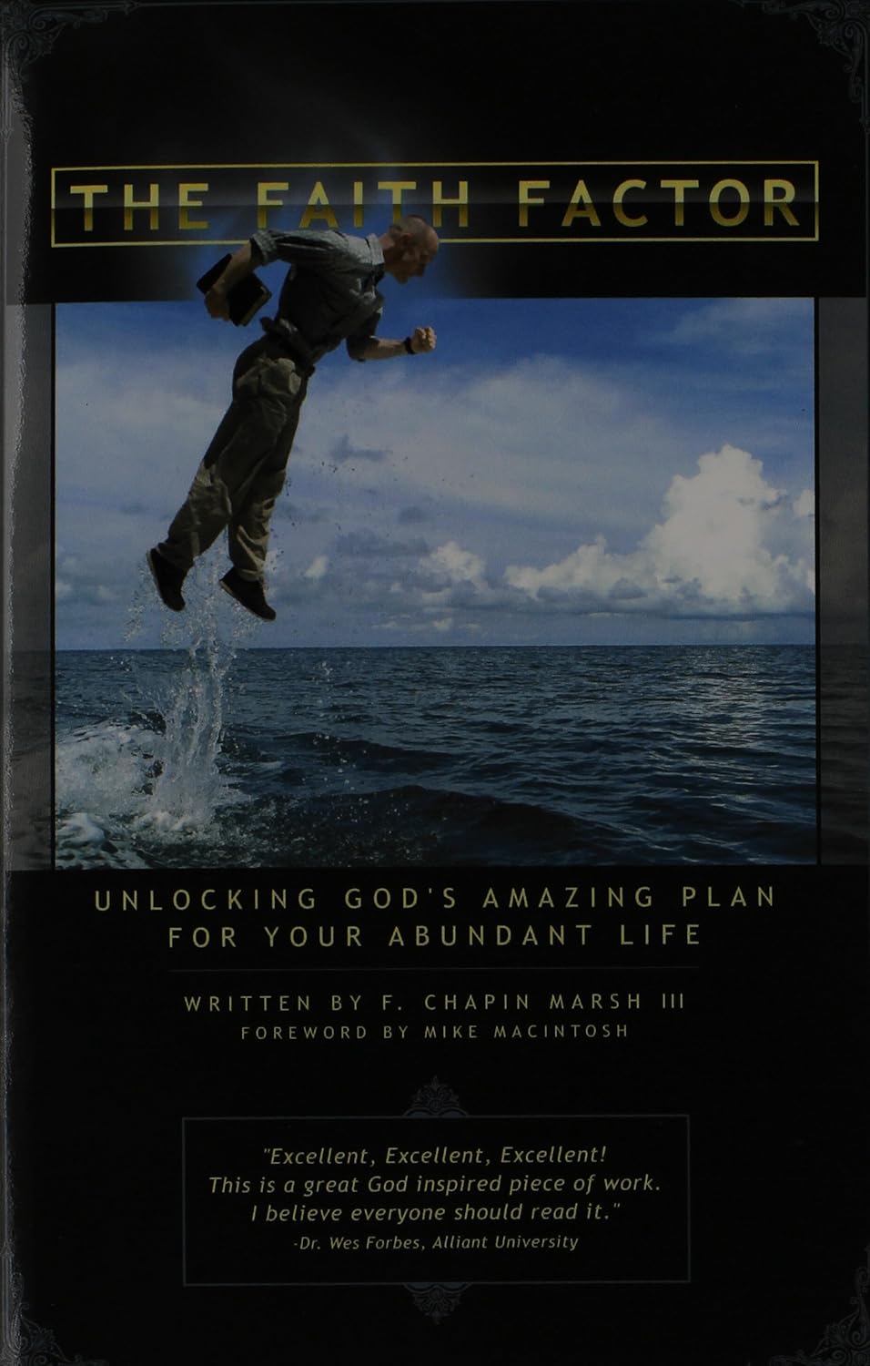 Amazon.com: The Faith Factor: 9781582750460: Marsh, Chapin F.: Books