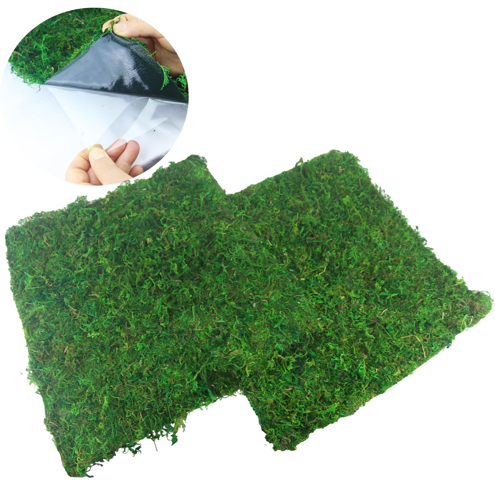Amazon.com: FAICOIA 2 Pcs Moss Mat Moss Table Runner Dried Moss for ...