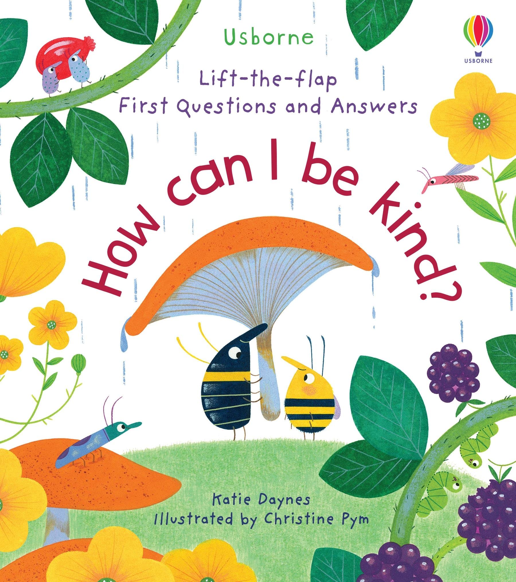 How Can I Be Kind? (Lift-the-Flap First Questions and Answers): 1 (Lift ...