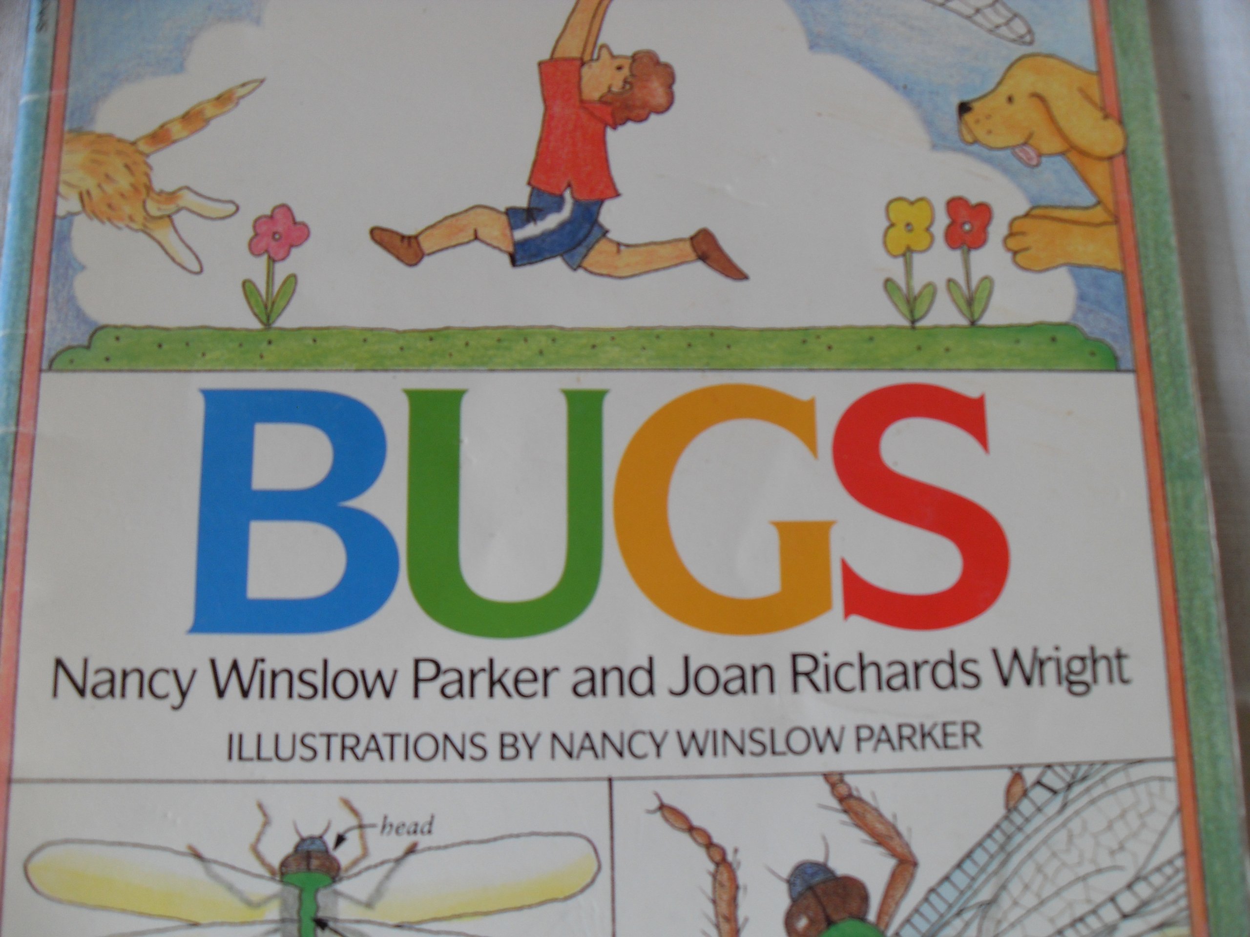Bugs (Reading Rainbow Books): Wright, Joan Richards, Parker, Nancy ...
