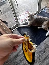 Pet Supplies : ReadyHound Durable Big Smile Emoji Squeaky Dog Toy for ...