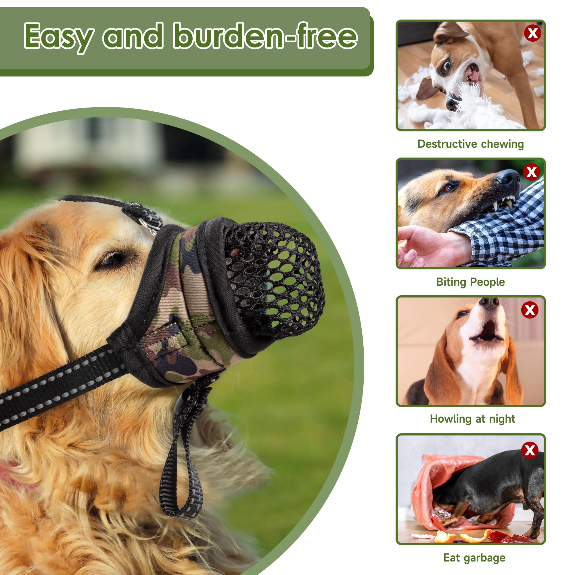Dog Breeds With Masked Faces Red Dog Breed Bulterrier In Medical Mask