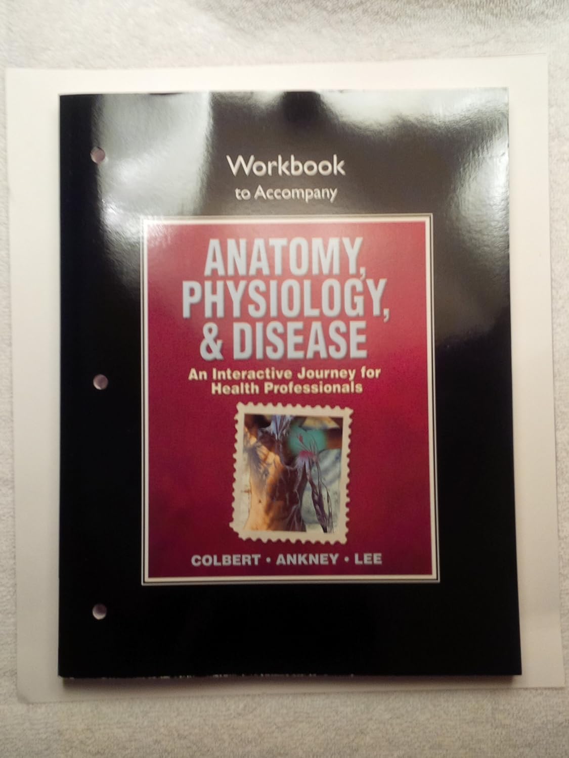 Anatomy, Physiology, & Disease Workbook: An Interactive Journey for ...