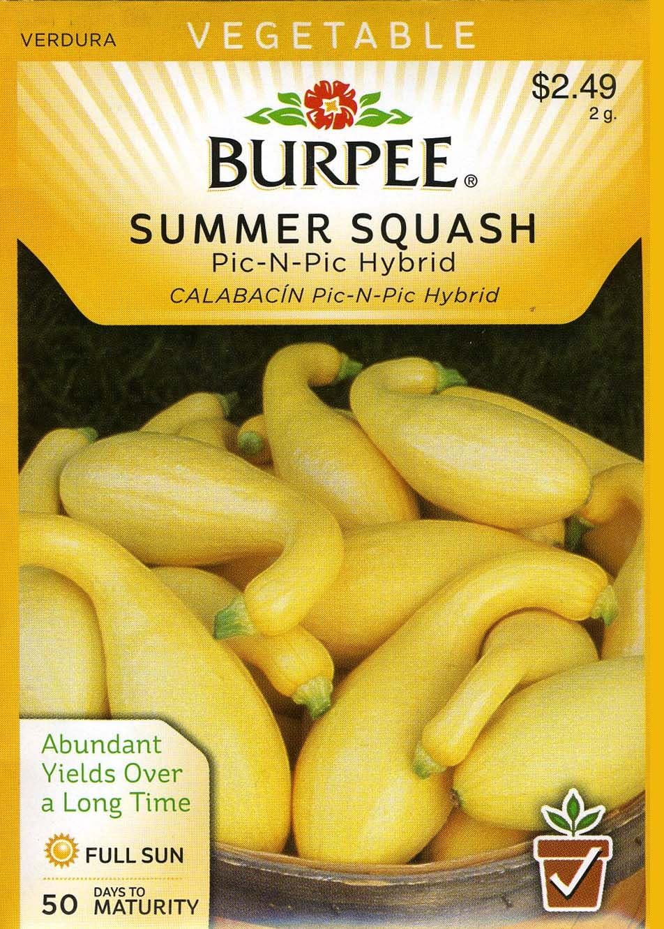 Amazon.com : Burpee Seeds, Burpee Squash Summer Hybrid, 1 Count ...