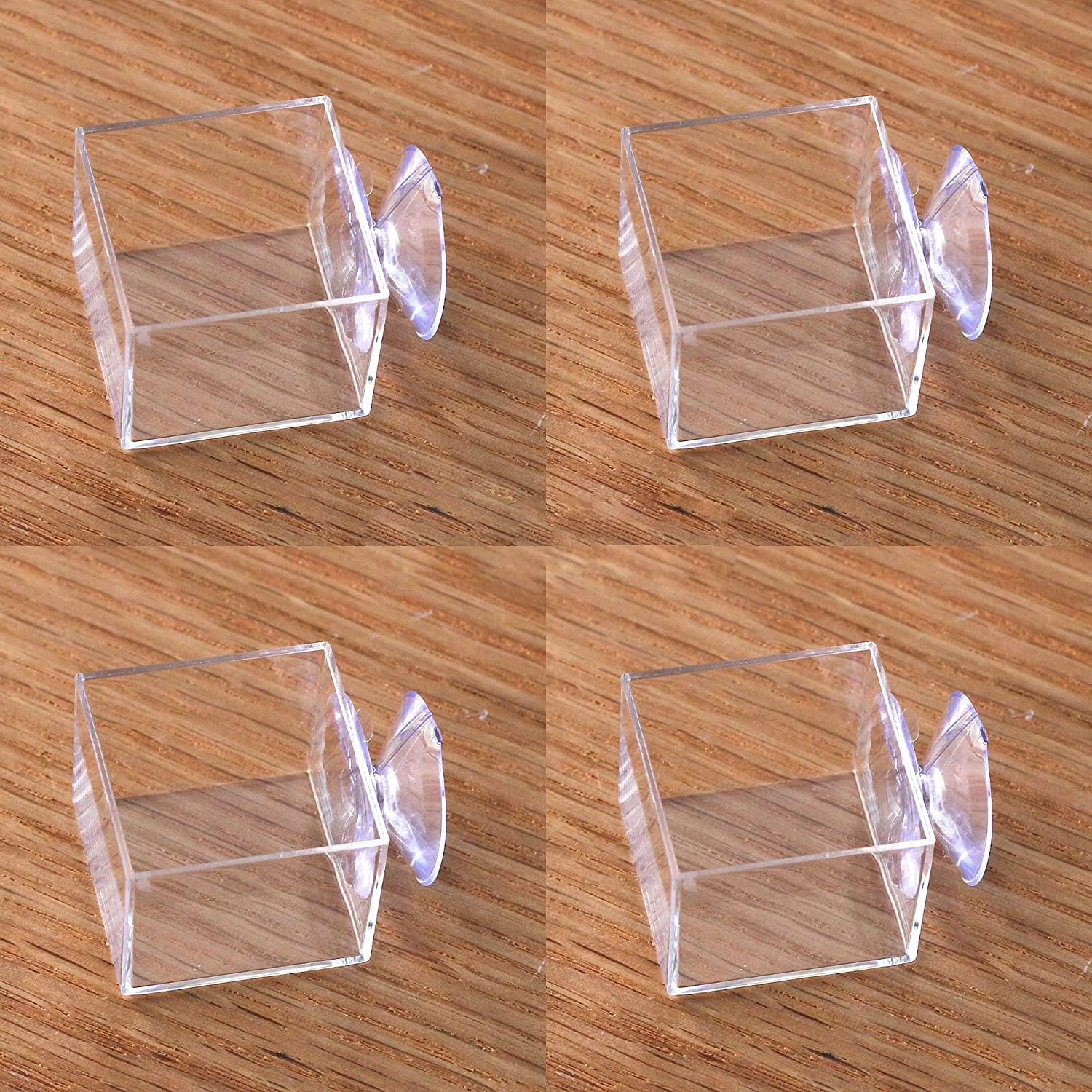 Amazon.com : crapelles 4pcs Mini Insect Water Dish, Transparent Plastic ...
