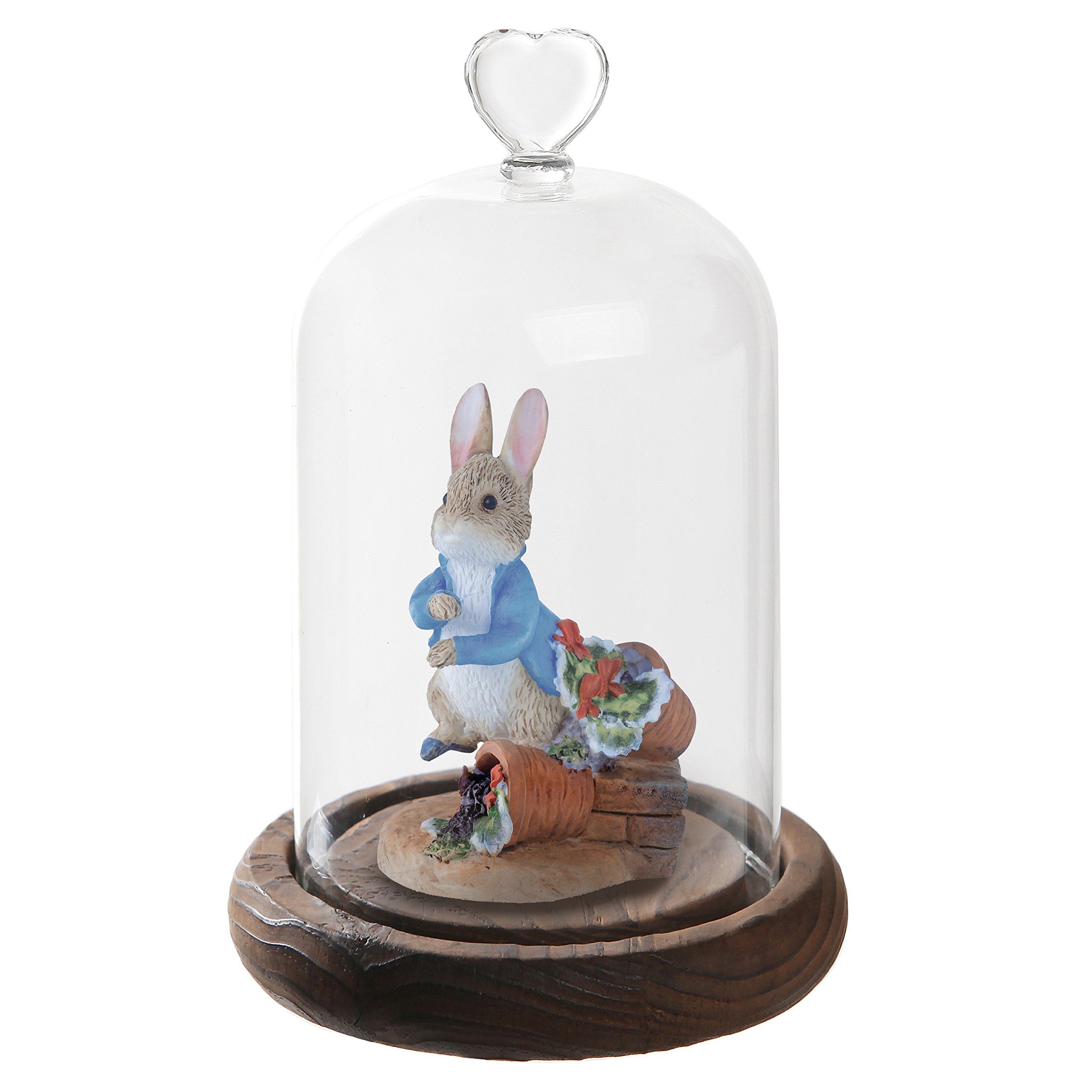 Buy MyGift 7 inch Decorative Cloche with Rustic Wood Base - Clear Glass ...