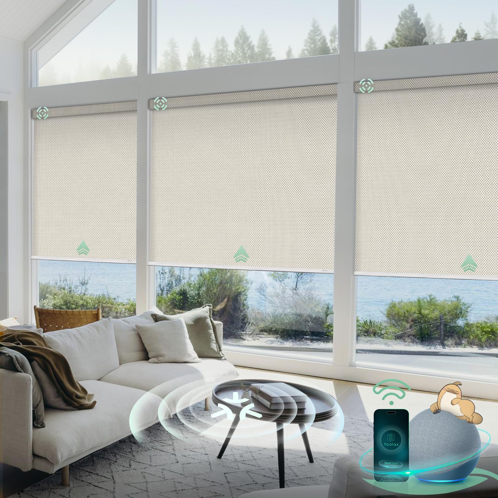 Amazon.com: Yoolax Motorized Solar Shades with Remote, Light Filtering ...