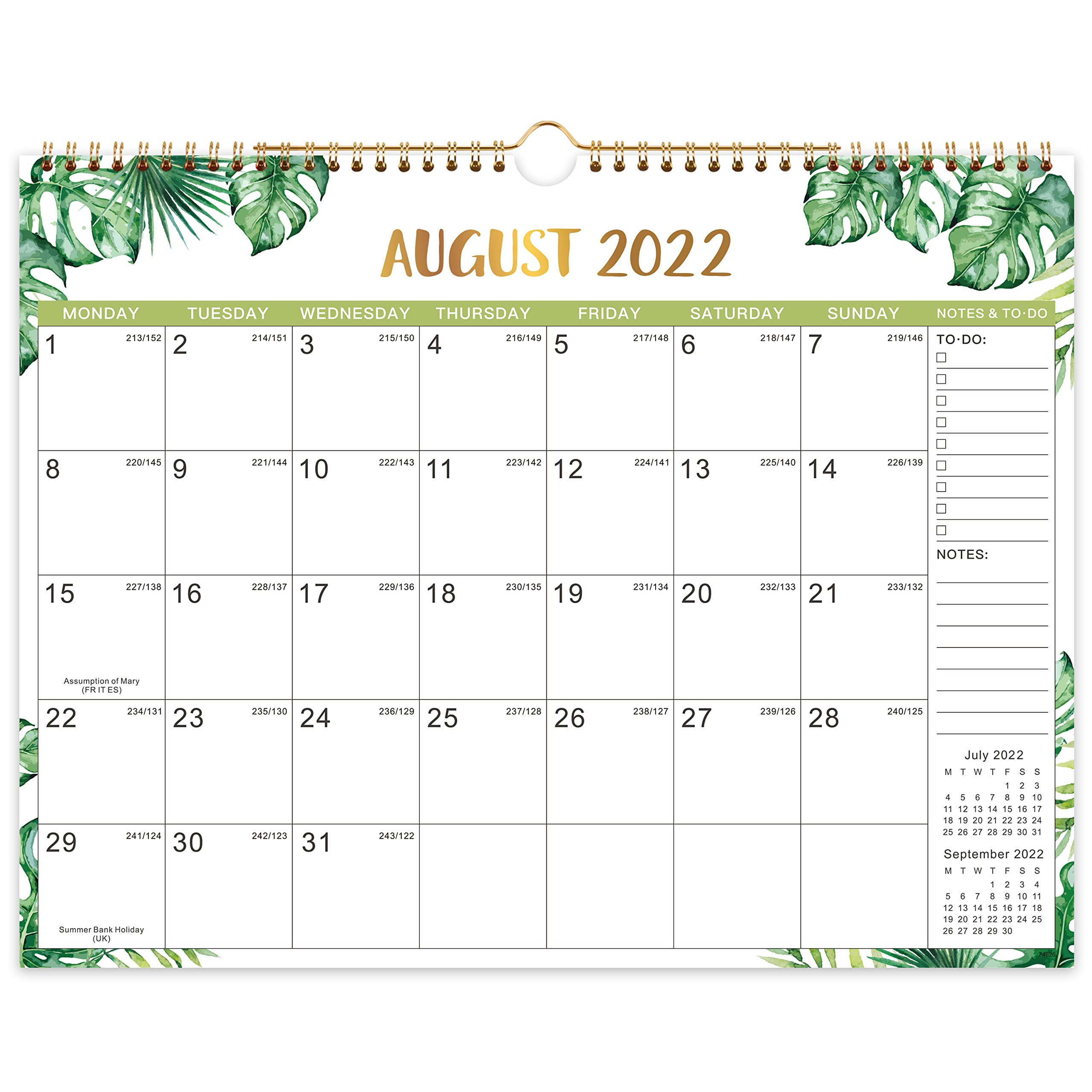 Buy Wall Calendar 2022-2023 - 2022-2023 Wall Calendar, August 2022 ...