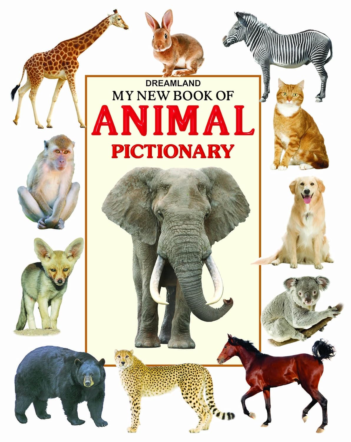 My New Book of Animal Pictionary: Anuj Chawla: 9781730184215: Amazon ...