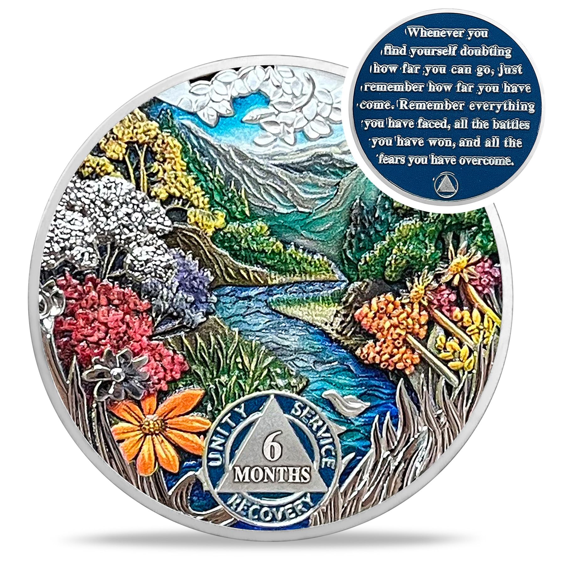 Amazon.com : 6 Month Sobriety Coin - Recovery Seasonal Landscapes AA ...