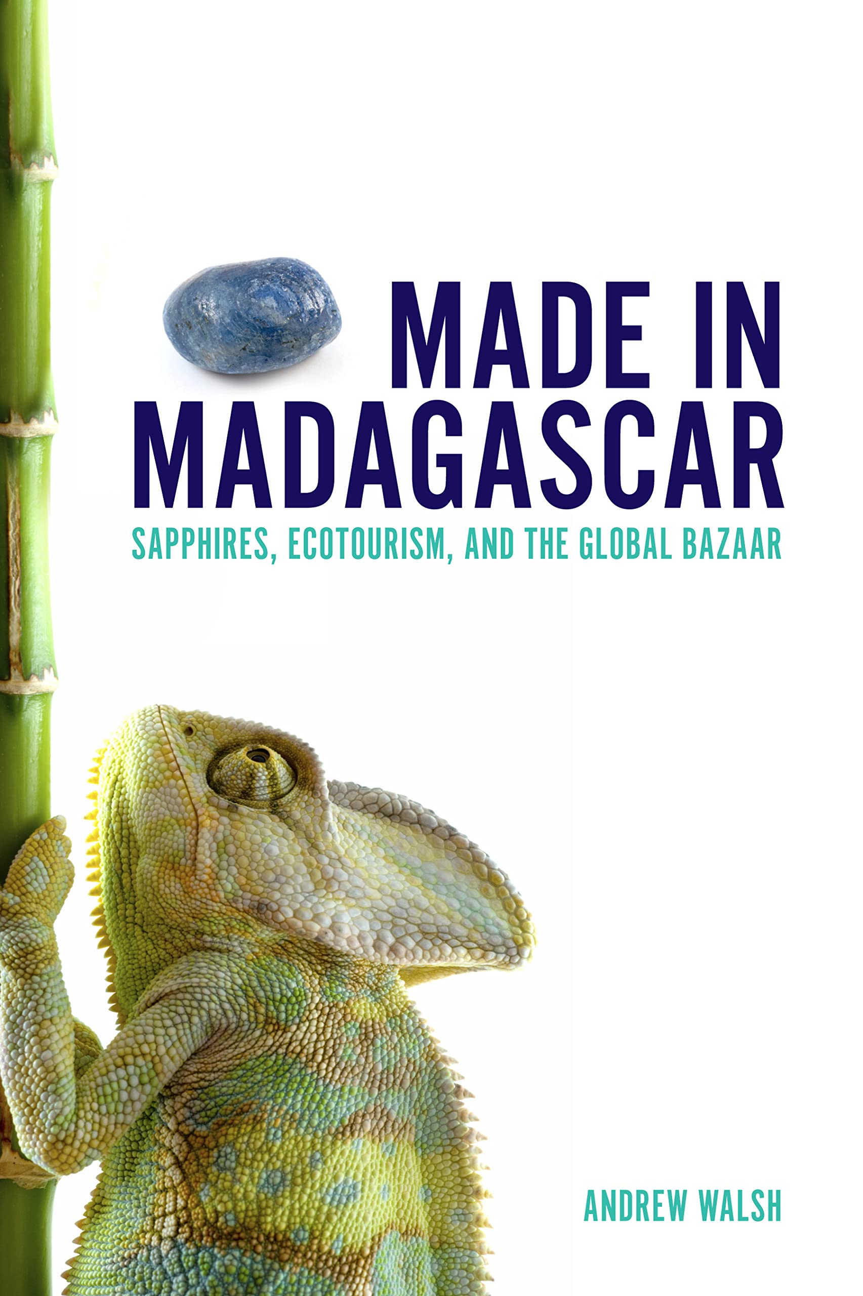 Made in Madagascar: Sapphires, Ecotourism, and the Global Bazaar ...