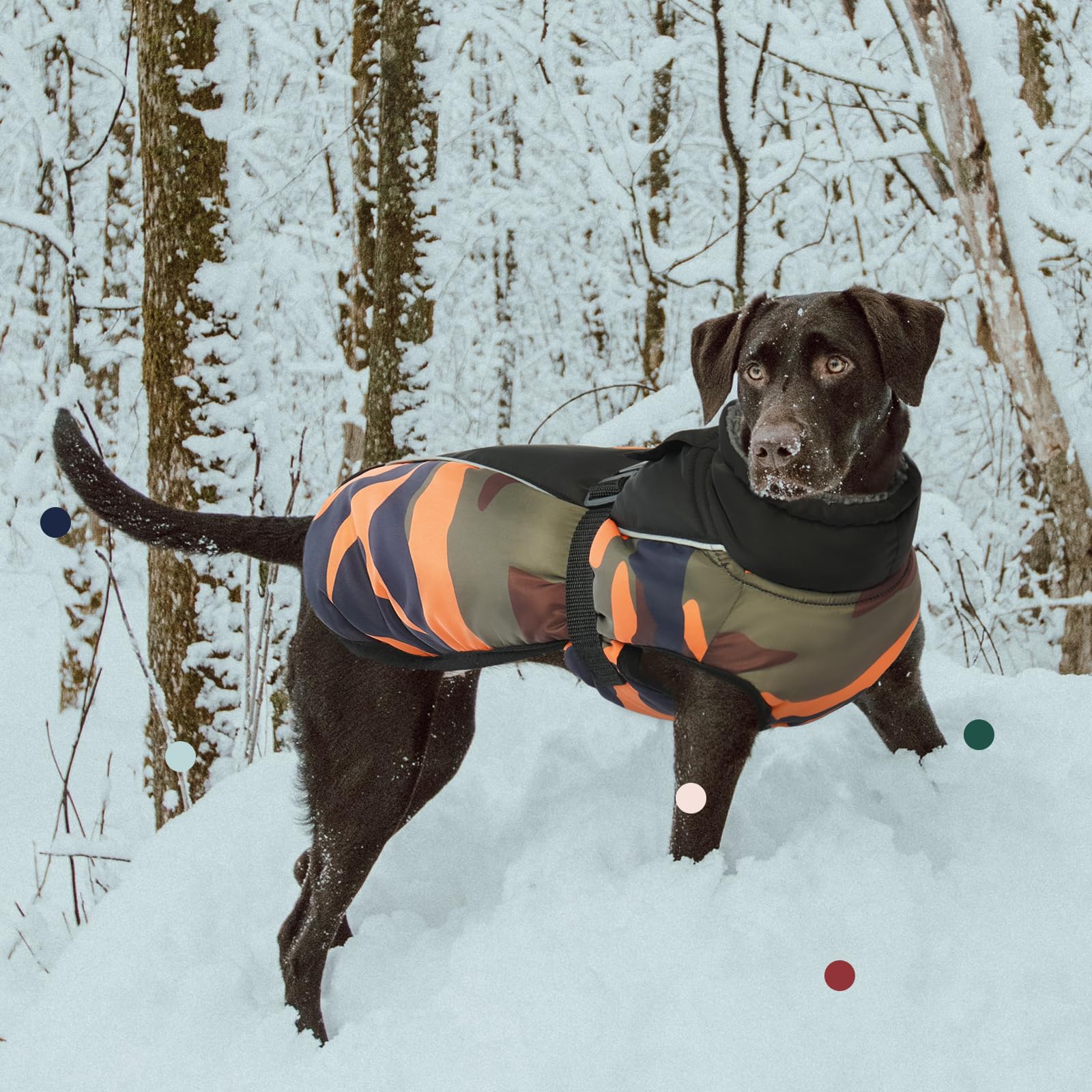 Snapklik.com : IECOii Extra Warm Dog Coat - Adjustable Winter Jacket