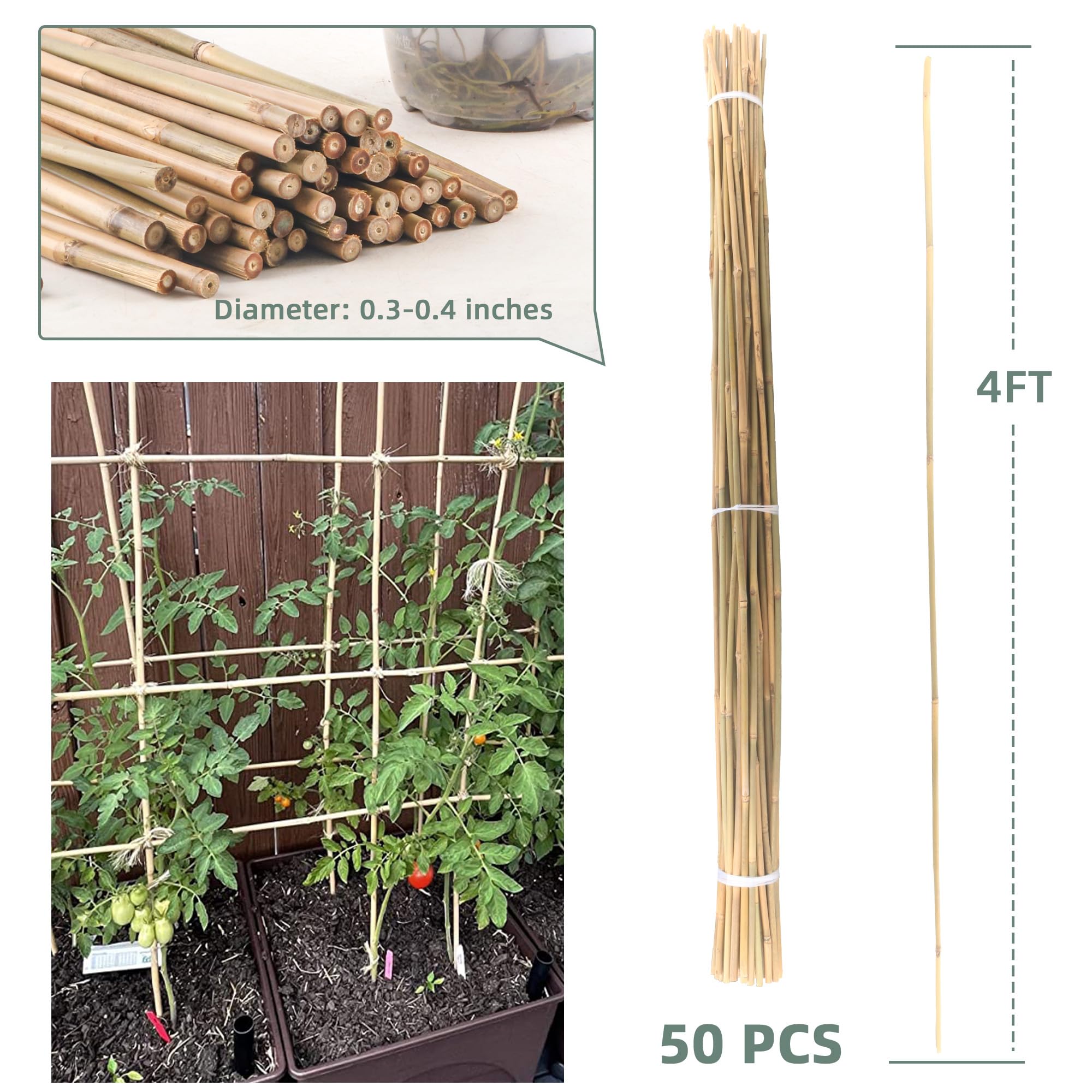 50Pcs Bamboo Plant Stakes for Indoor Outdoor Plants, 0.32''-0.4''/4 FT ...