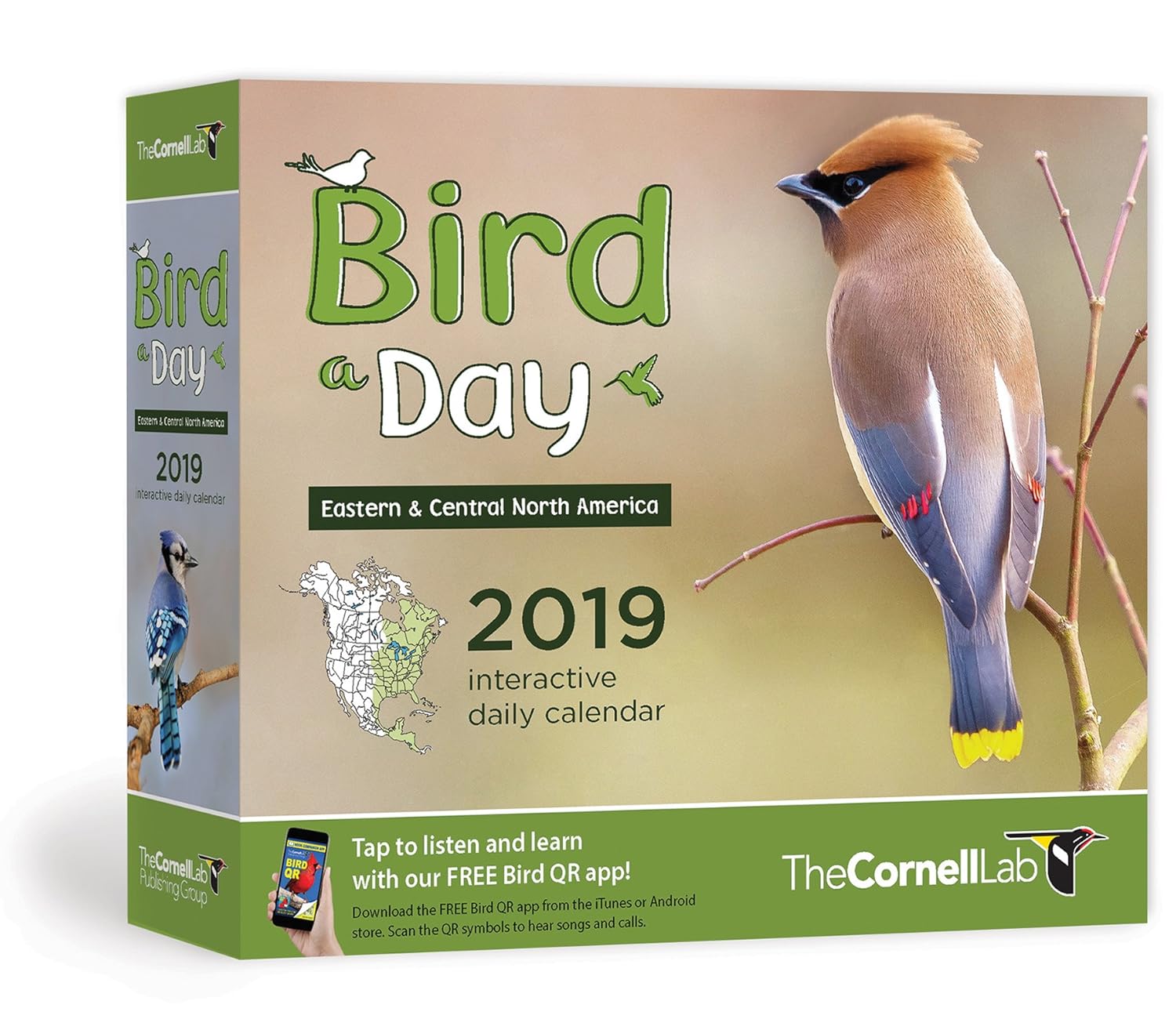 BIRD-A-DAY 2019 DAILY CALENDAR: EASTERN (cal) Cornell Lab Publishing ...