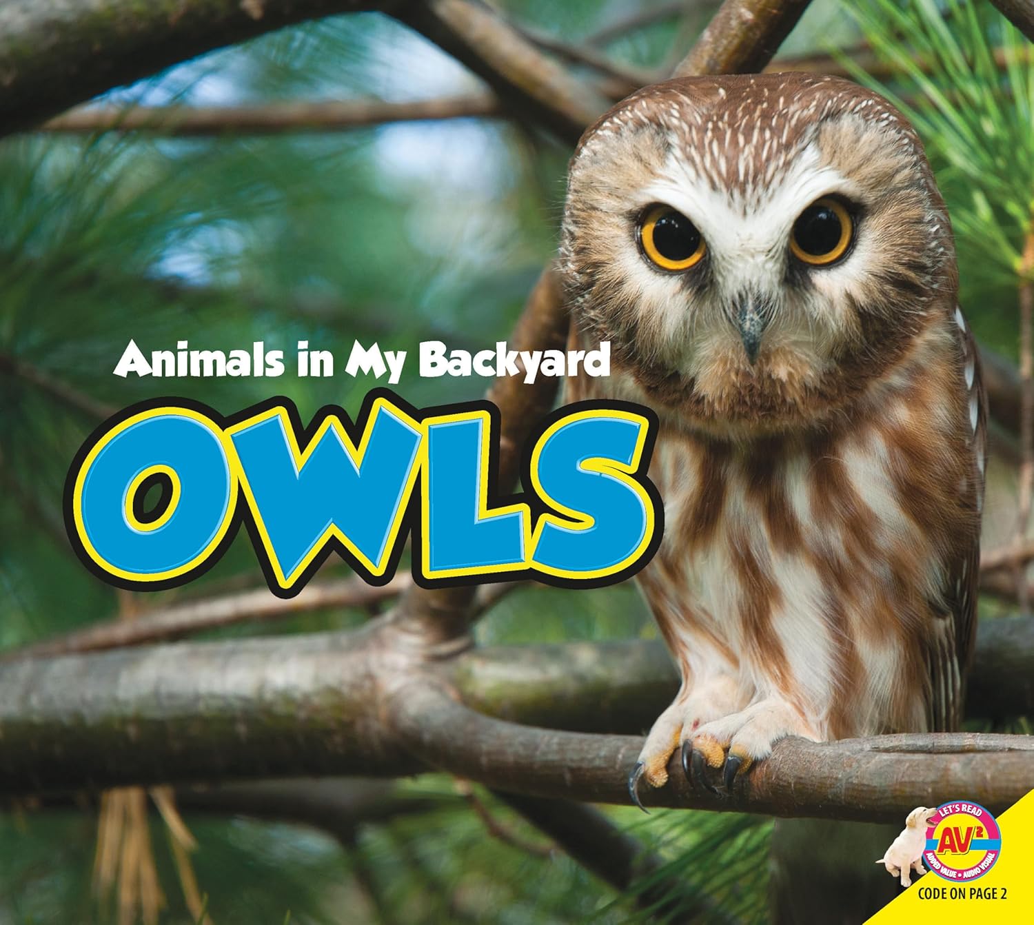 Owls (Animals in My Backyard) : Carr, Aaron: Amazon.in: Books