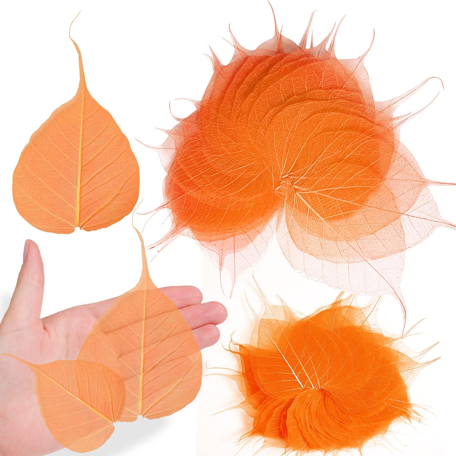 Amazon.com: 42PCS Dried Pressed Skeleton Leaves Vein for Resin, White ...