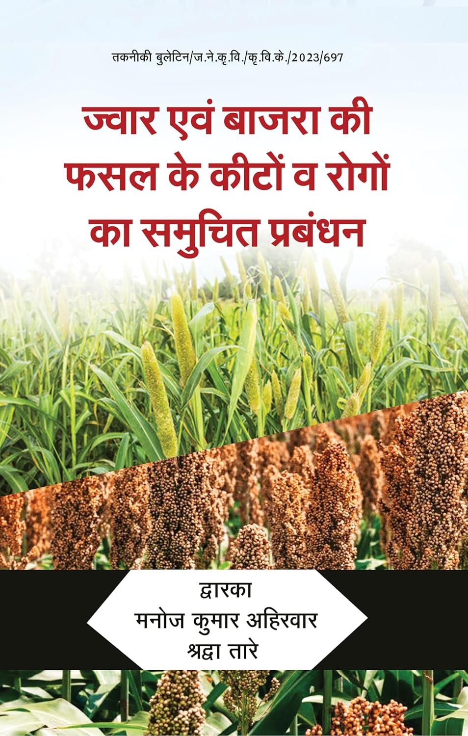 Buy Jwar avm Bajra ki Fasal Ke Keeton avm Rogon ka Samuchit Prabandhan ...