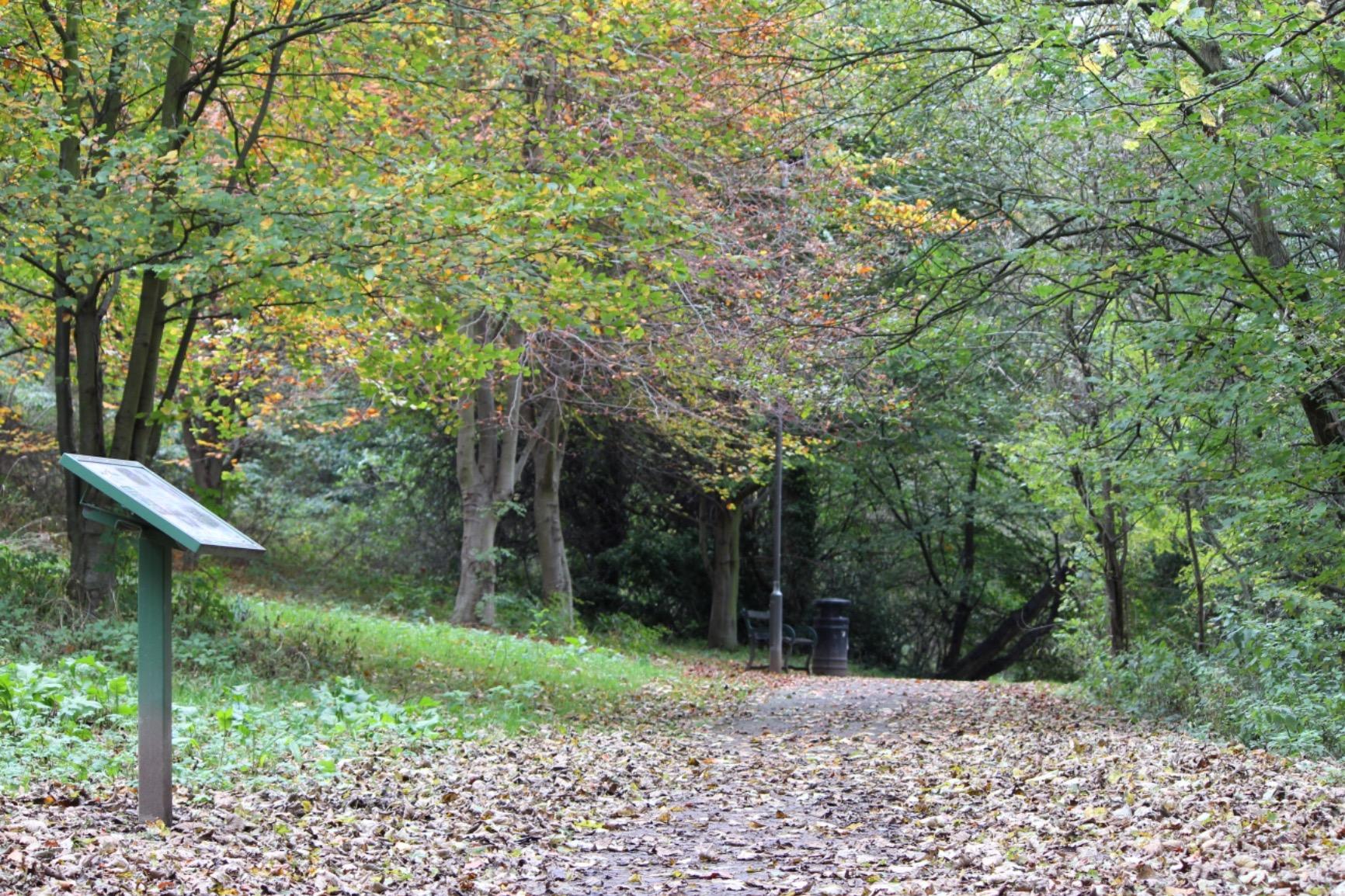 Peter Robinson Reading Order and Checklist: The guide to the Inspector ...