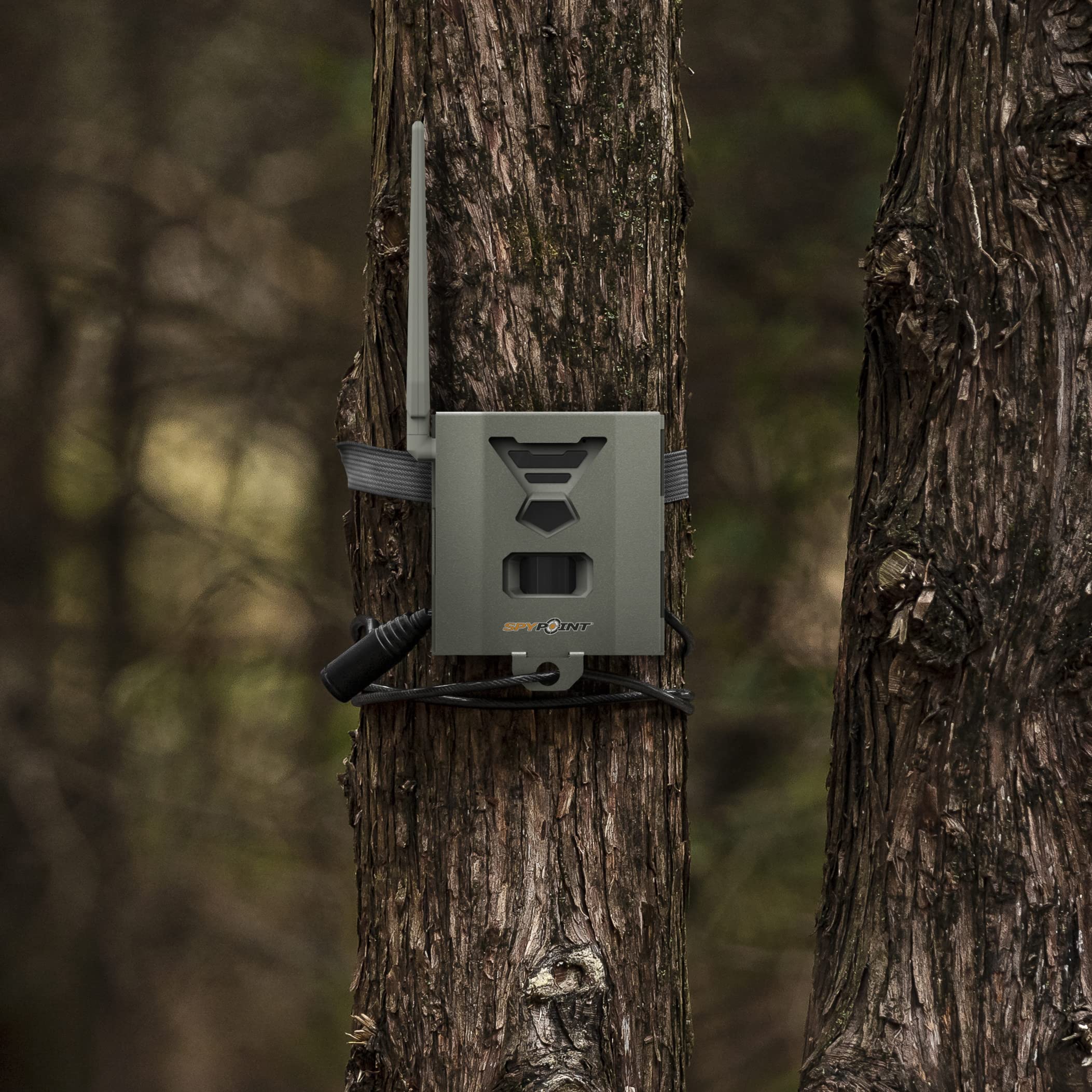 Snapklik.com : Spypoint SB-500 16-Guage Zinc-Coated Steel Padlock And ...