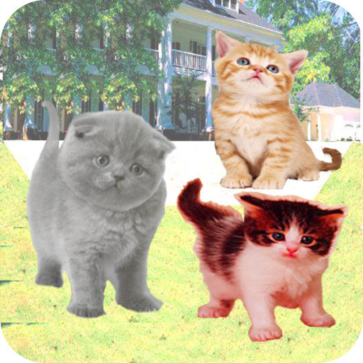 Talking Cat With Friends - App on Amazon Appstore