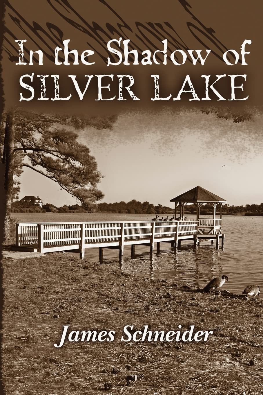 In the Shadow of Silver Lake: Schneider, James: 9780615468853: Amazon ...