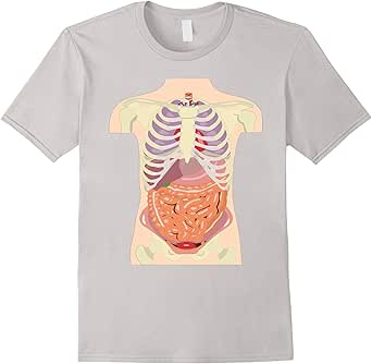 Amazon.com: Anatomy T-Shirt Human Organs Biology Torso Graphic Tee ...