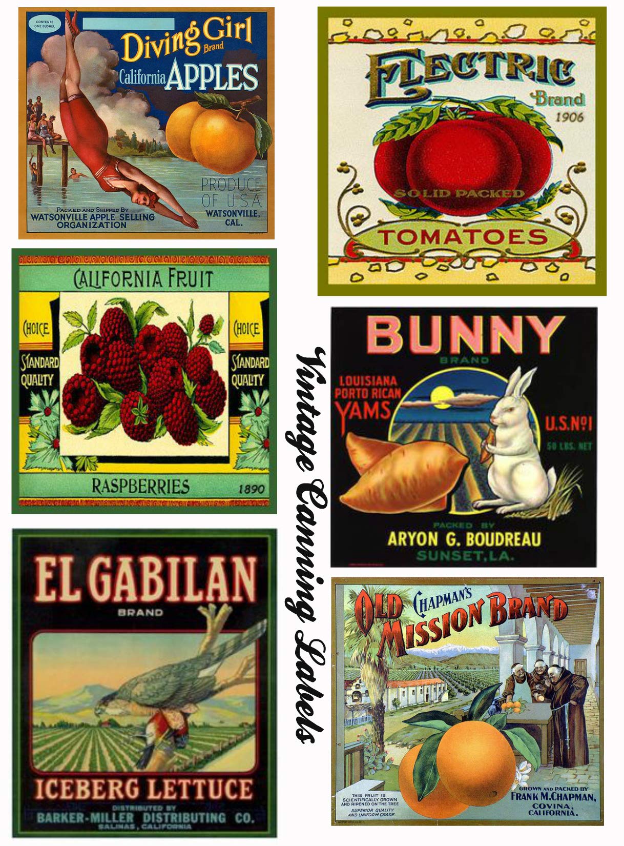 Amazon.com: Assorted Vintage Ephemera Canning Labels #102 Images on ...