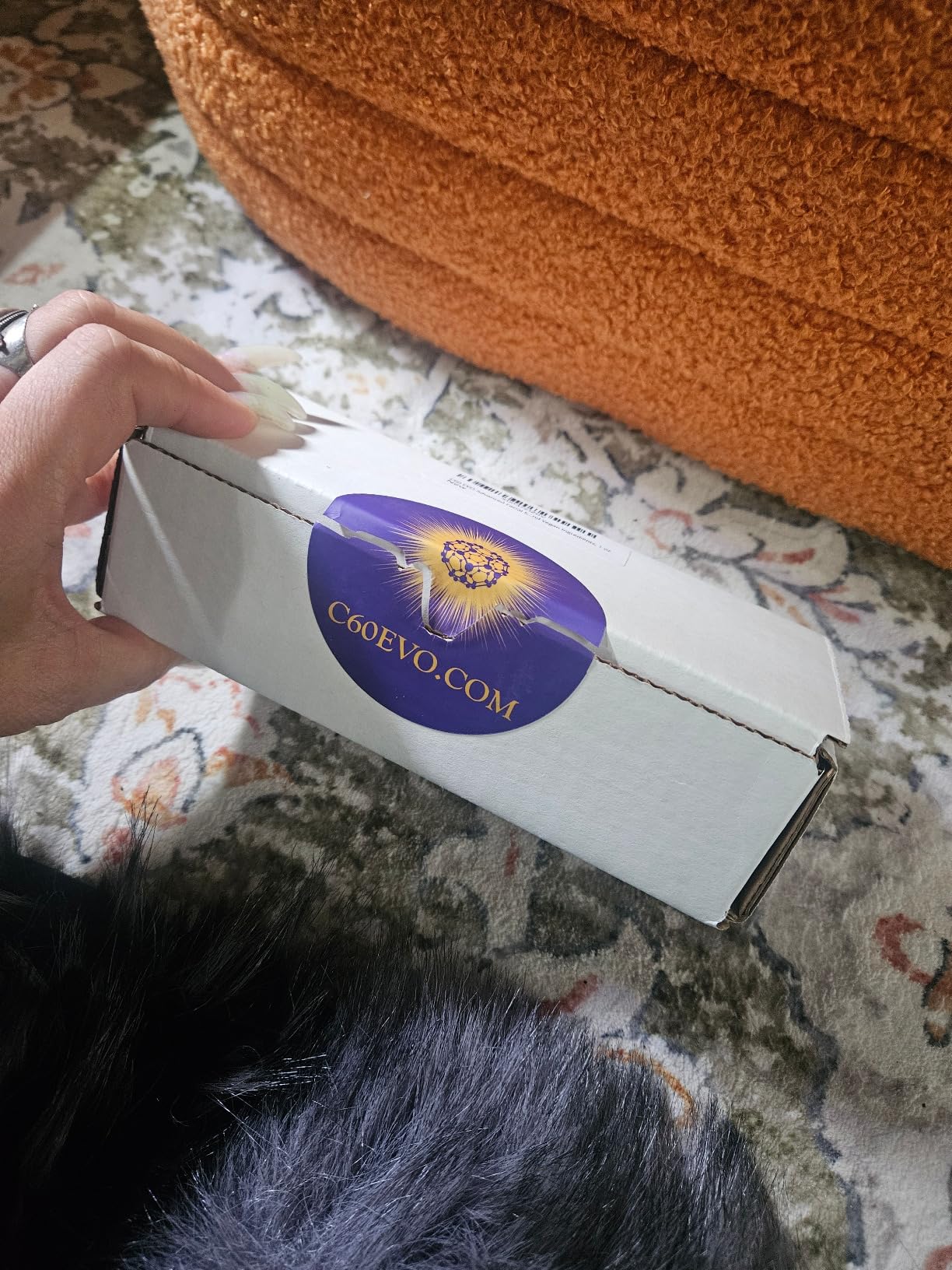 Amazon.com: C60 EVO Advanced Facial Serum, Natural Serums for Skin Care ...