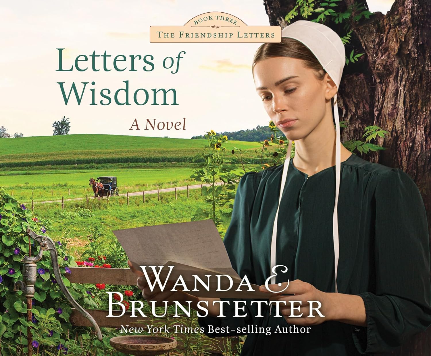 Letters of Wisdom (Volume 3) (Friendship Letters): Brunstetter, Wanda E ...