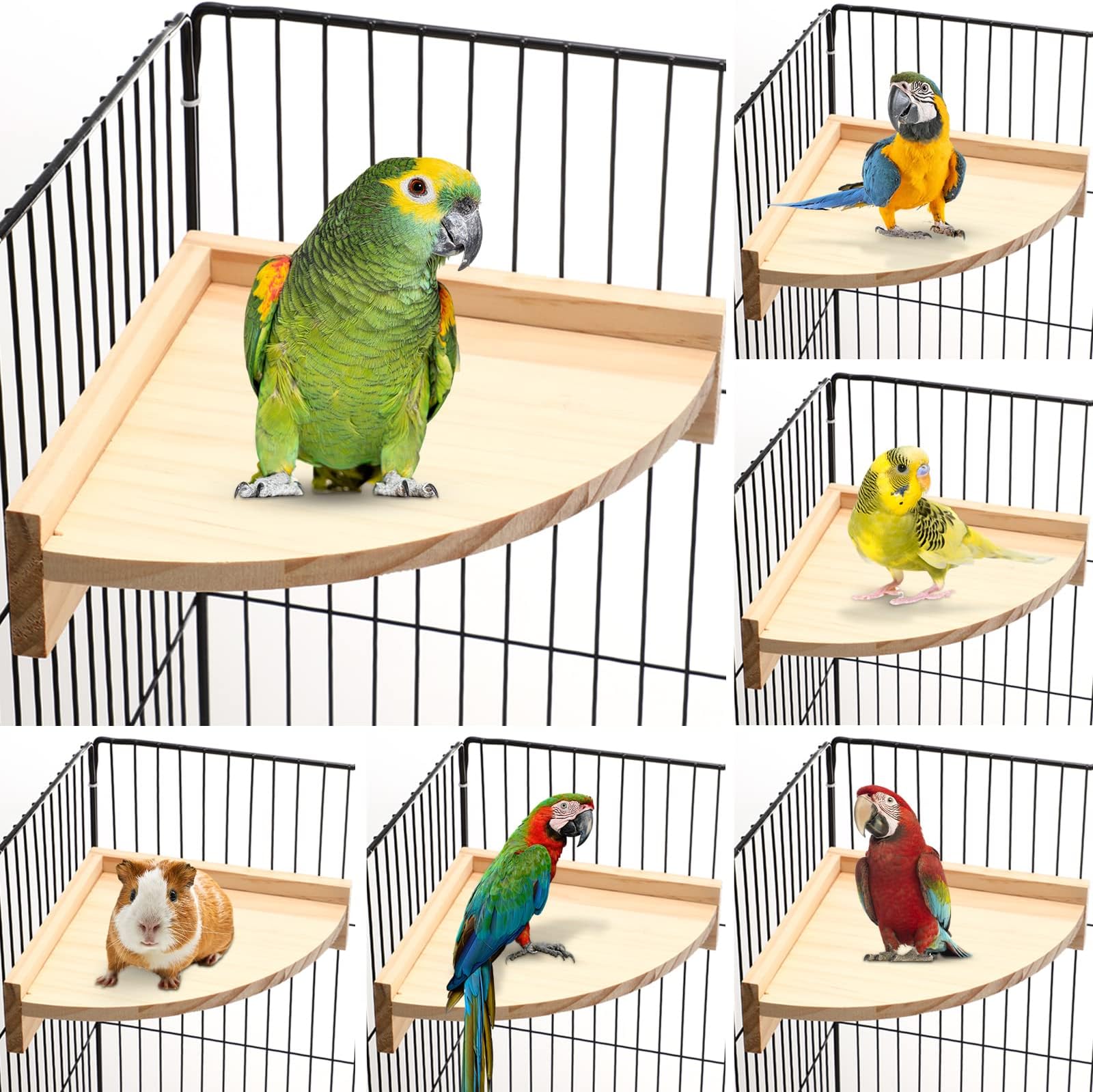 Amazon.com : Wettarn 6 Pcs Bird Perch Platform Bird Perch Corner Parrot ...