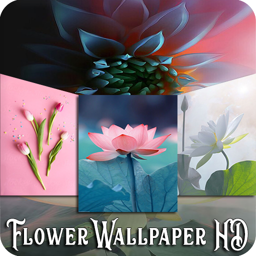 Hd Flower Wallpapers For Android