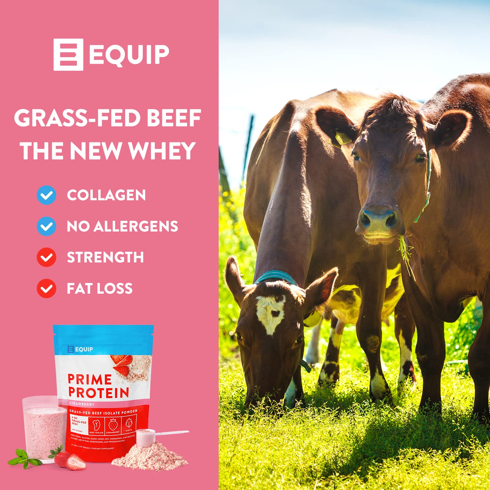 Snapklik.com : Equip Foods Protein - Grass-Fed Beef Protein Powder ...