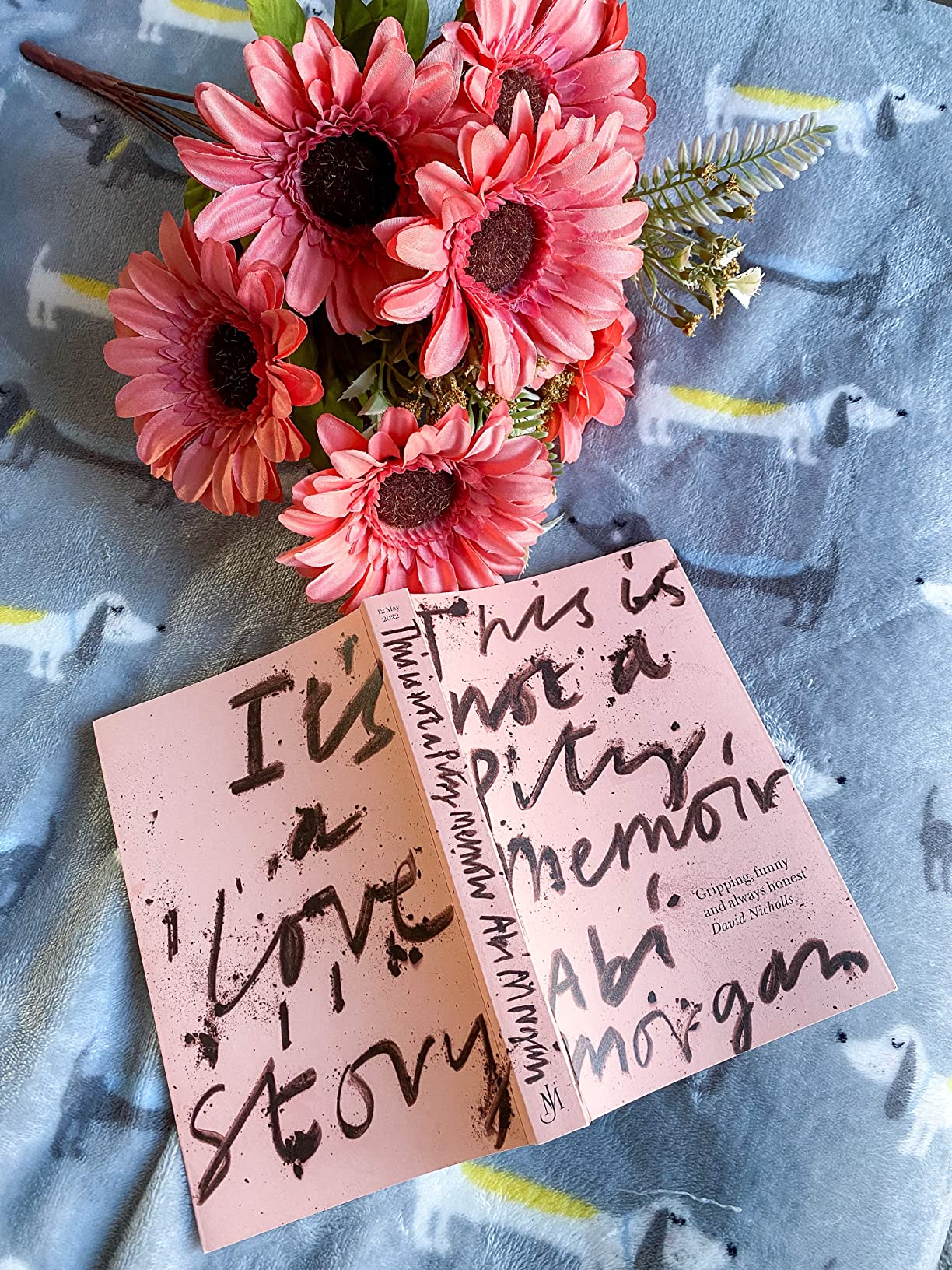 This is Not a Pity Memoir: The heartbreaking and life-affirming ...
