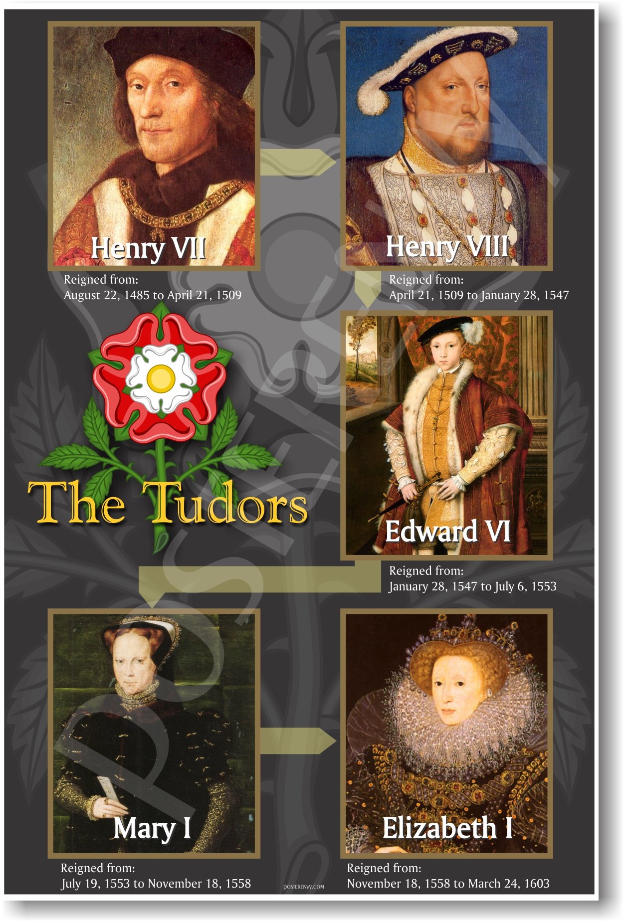 The Tudor Dynasty Social Studies Classroom Poster | Desertcart INDIA
