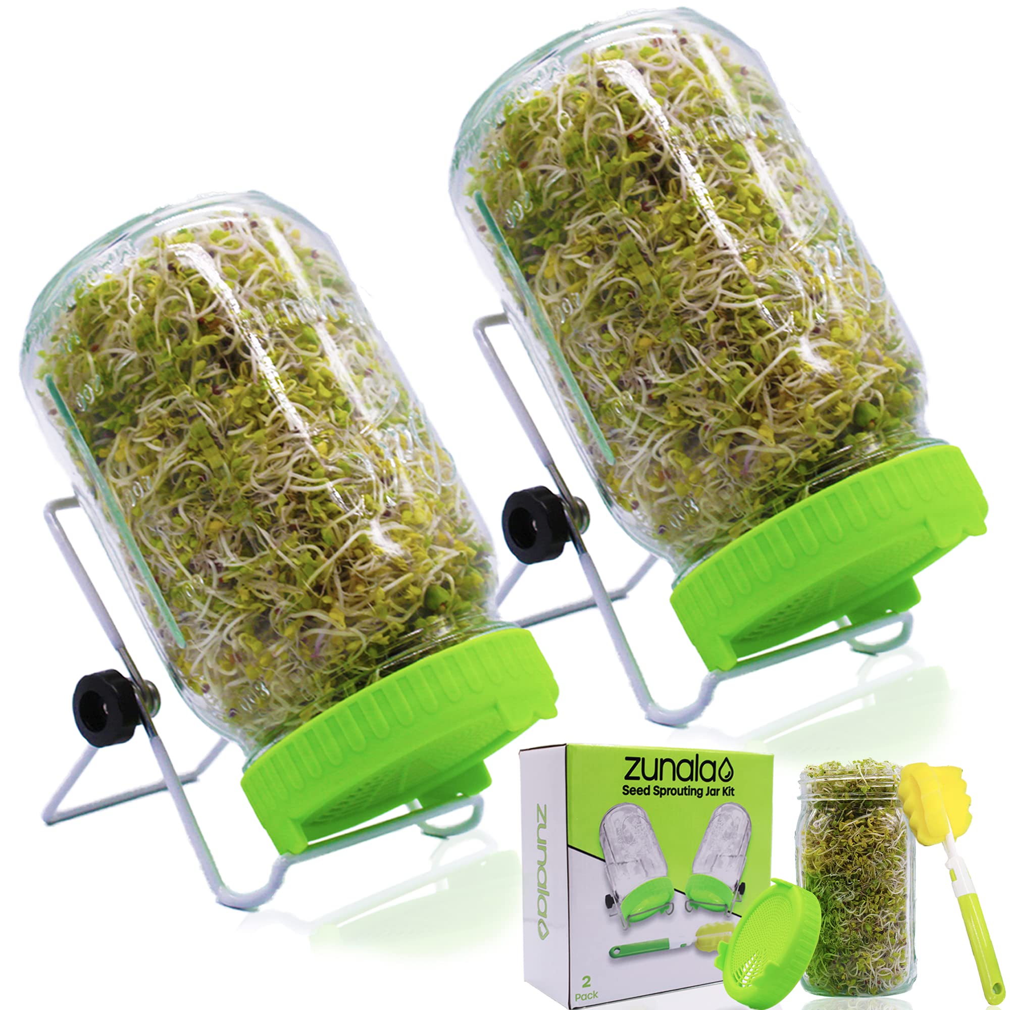 Buy ZUNALA Seed Sprouting Jar Kit - 2 Sprouting Jars with Screen Lids ...