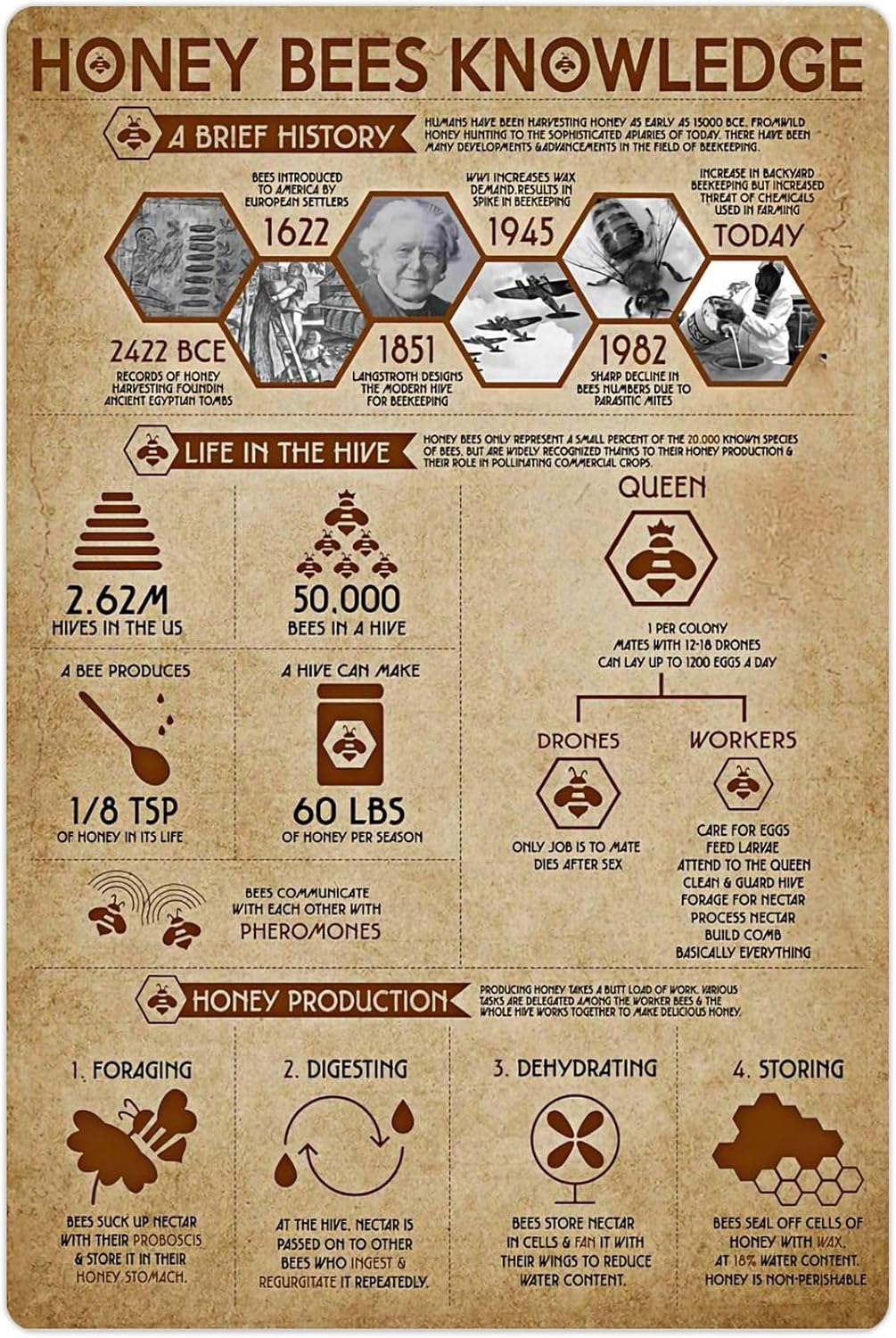 Amazon.com : Honey Bees Knowledge Metal Tin Signs A Brief History Retro ...