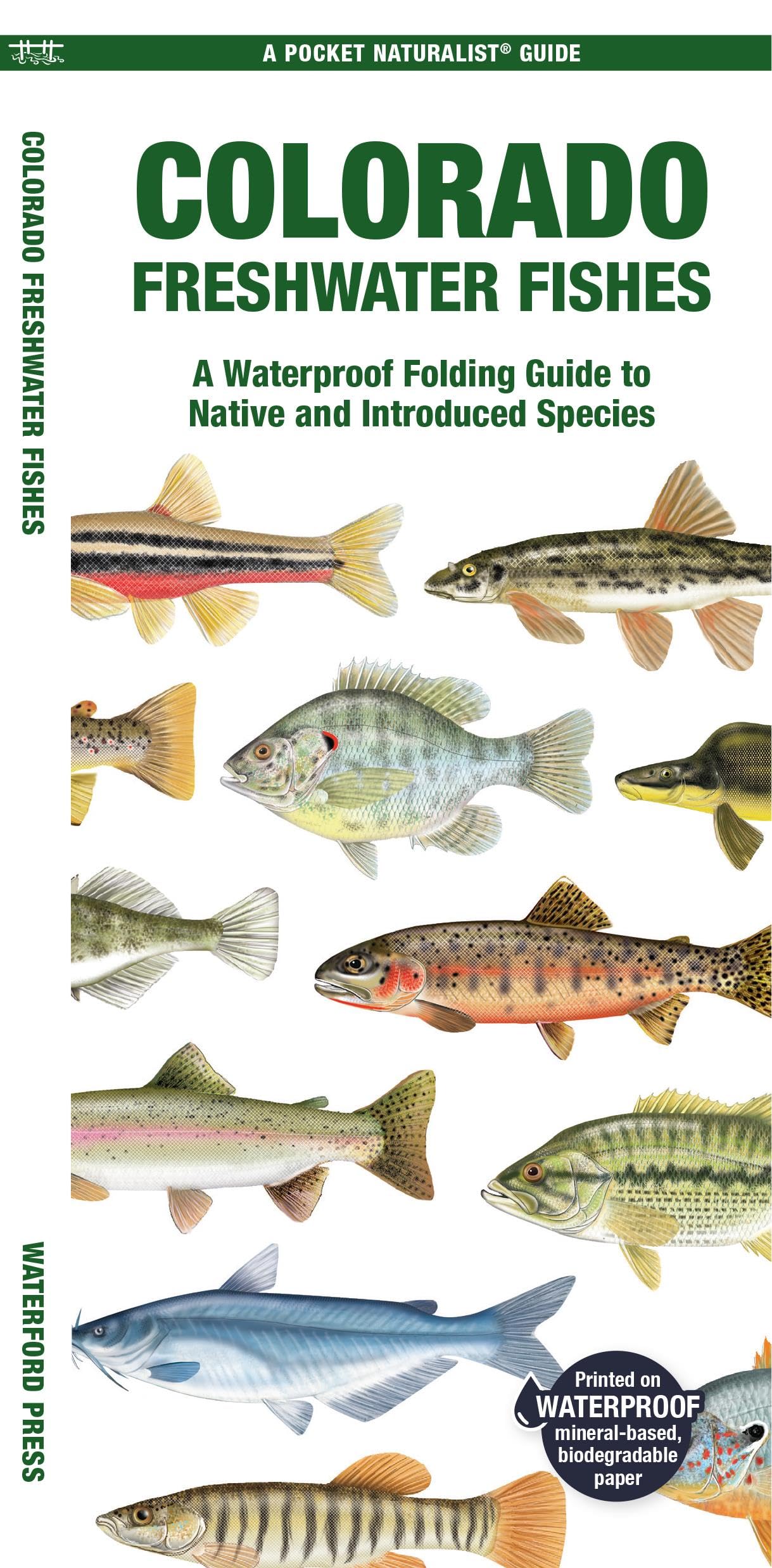 Colorado Freshwater Fishes: A Folding Guide to Native and Introduced ...