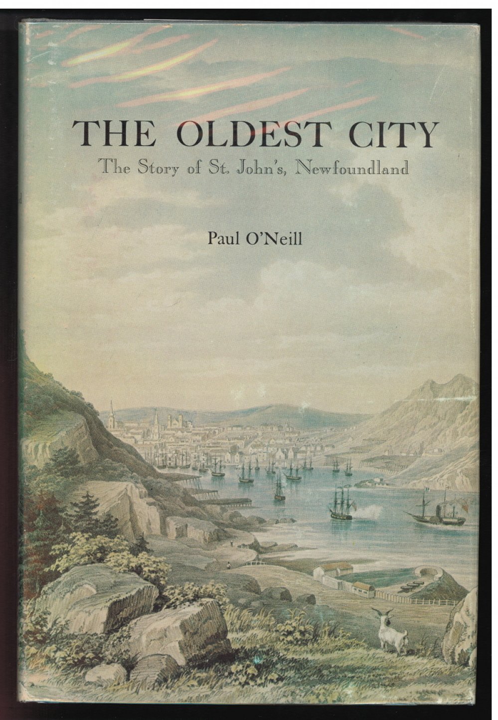 A Seaport Legacy: The story of St. John's, Newfoundland: O'Neill, Paul ...