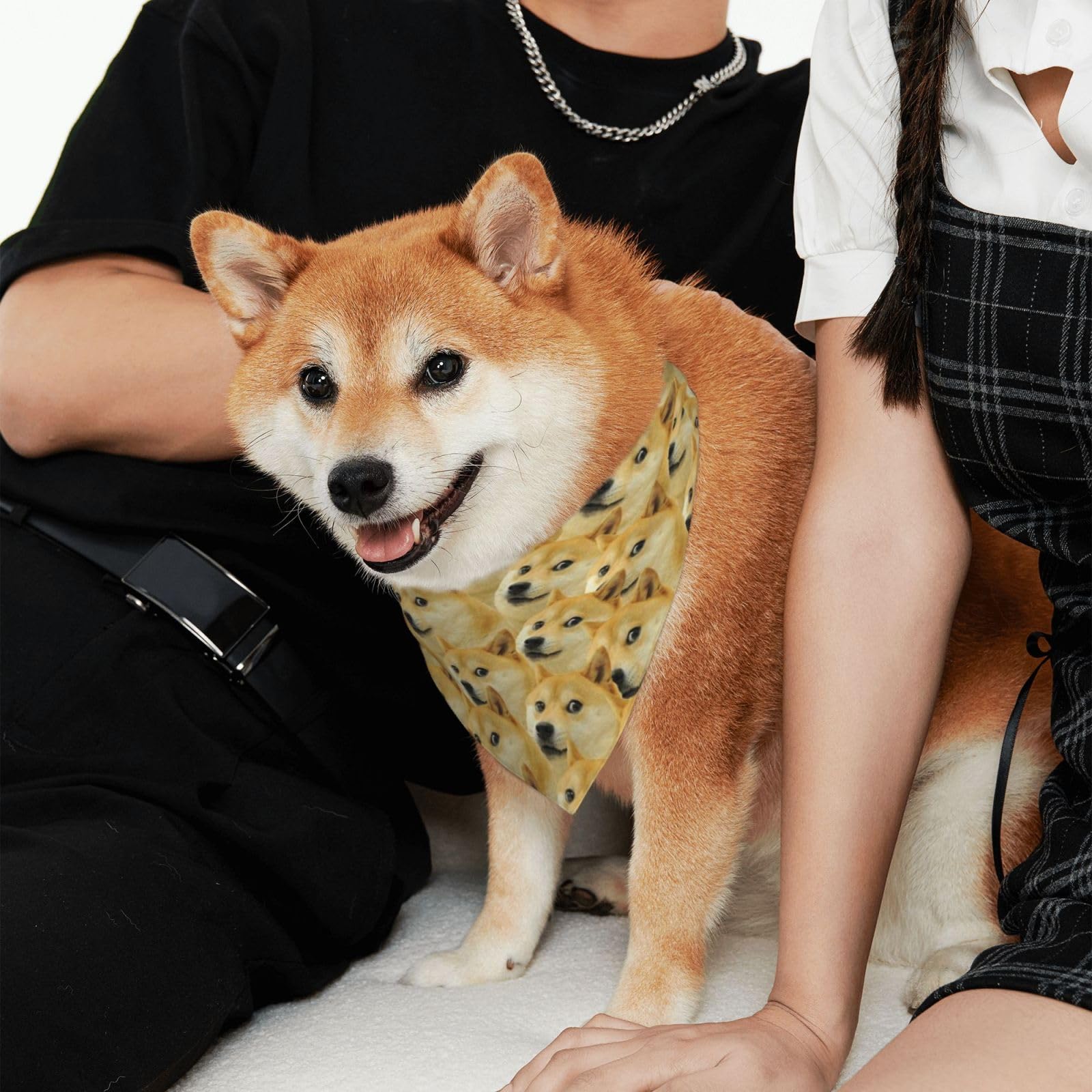 Monsieur Doge Doge Employees Hold Stock In Firms Set To Benefit From