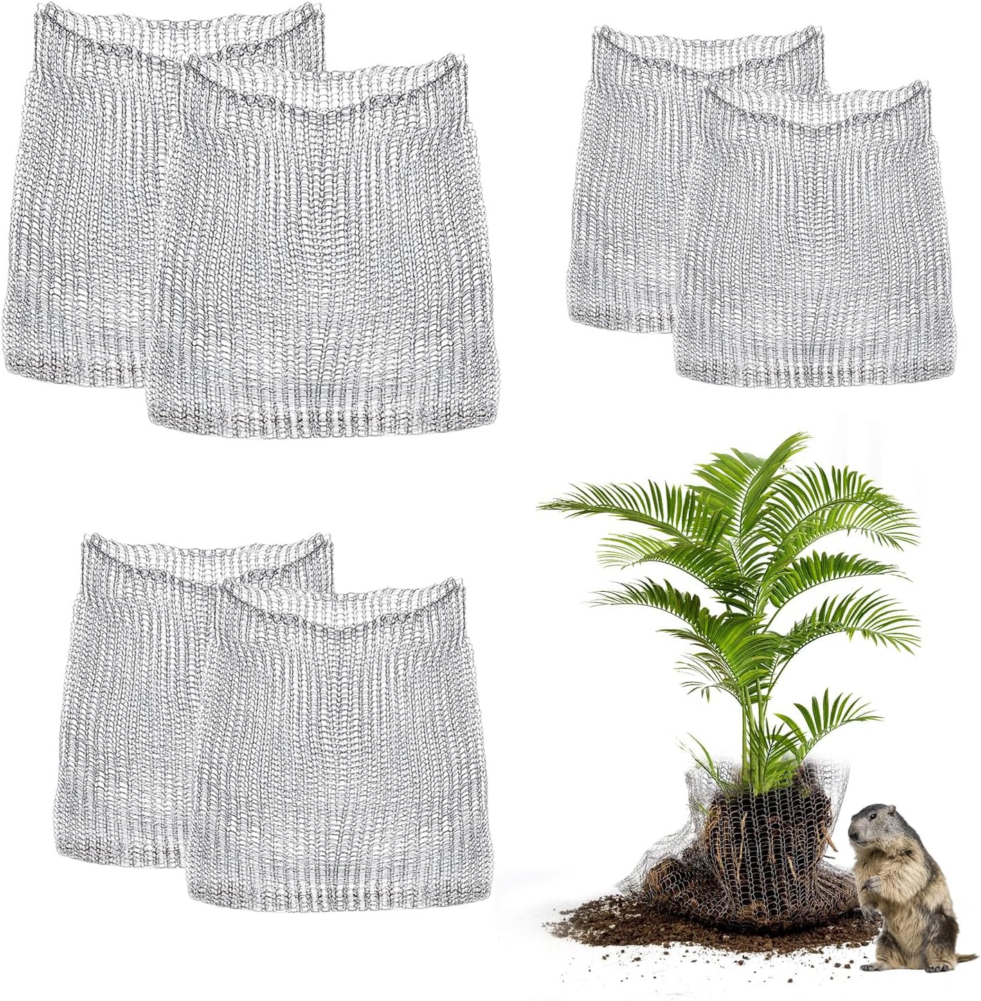 Amazon.com : 6 PCS Gopher Wire Basket, Stainless Steel Plant Root Guard ...