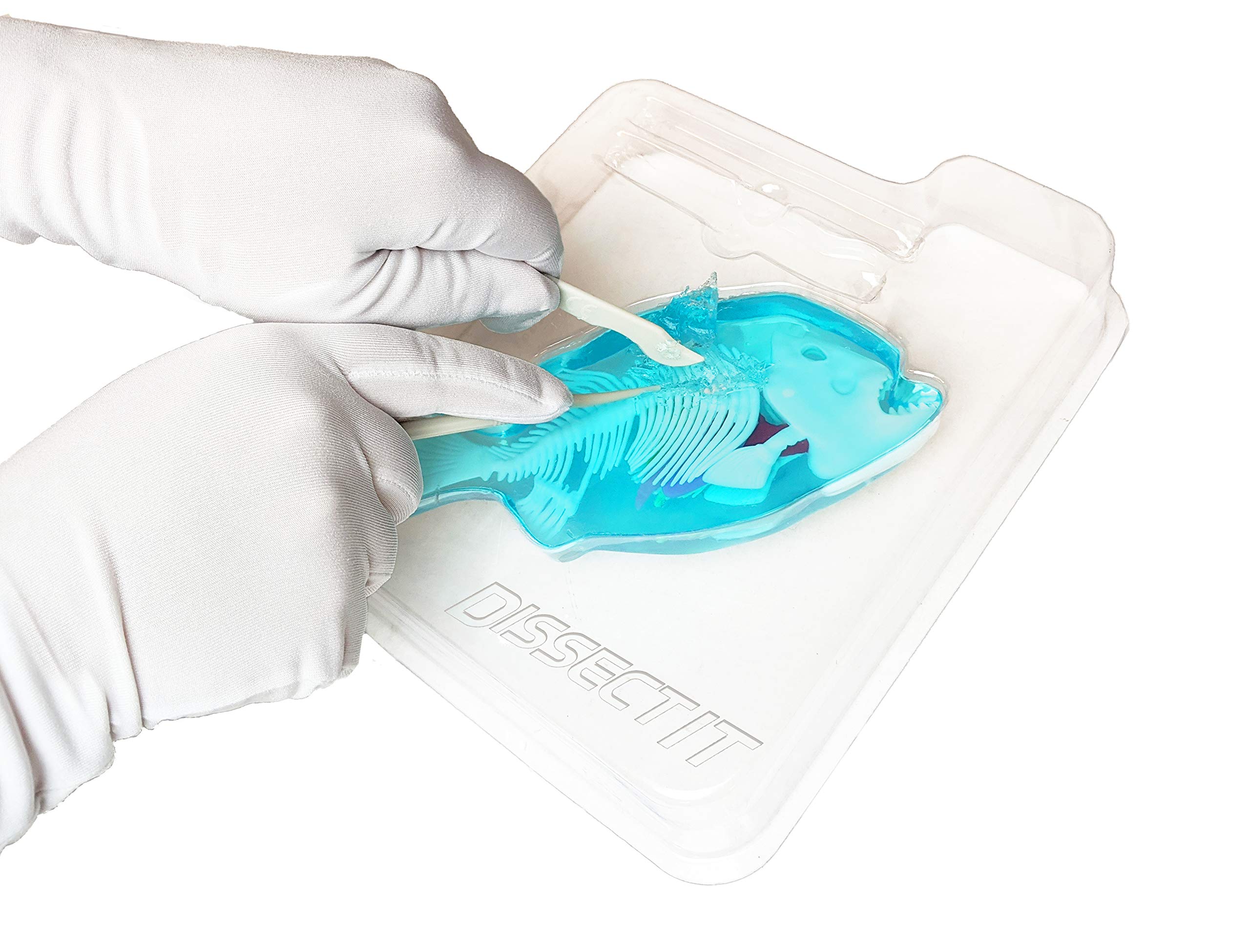 Dissect-It Simulated Synthetic Lab Dissection Toy, STEM Projects for ...