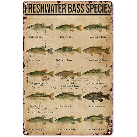 Amazon.com: HERYNLRN Retro Tin Signs Vintage Style Fishing Art Prints ...