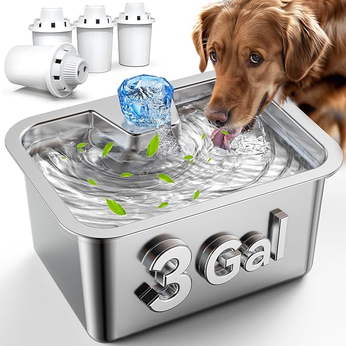 Amazon.com: Large Dog Water Fountain Stainless Steel,3 Gallon Extra Big ...