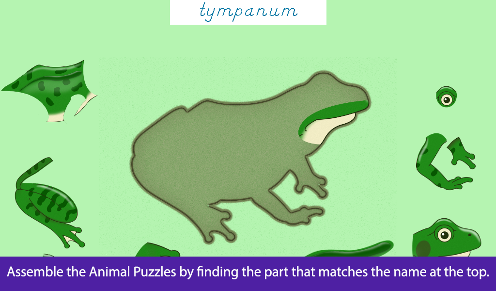 Parts of Animals (Vertebrates) - Montessori Approach to Zoology - App ...