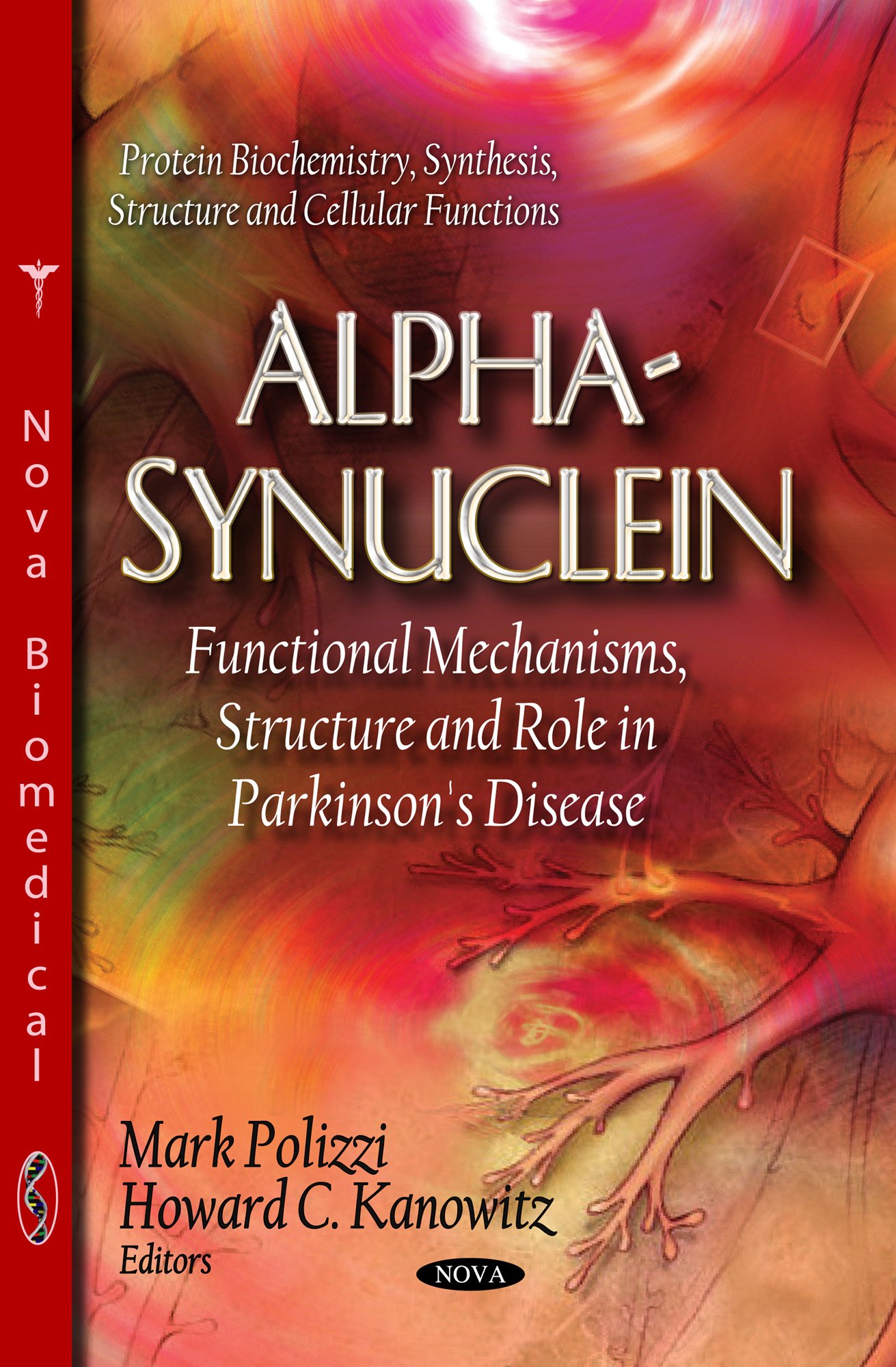Alpha Synuclein Functional Mechanisms Structure And Role In Parkinsons ...