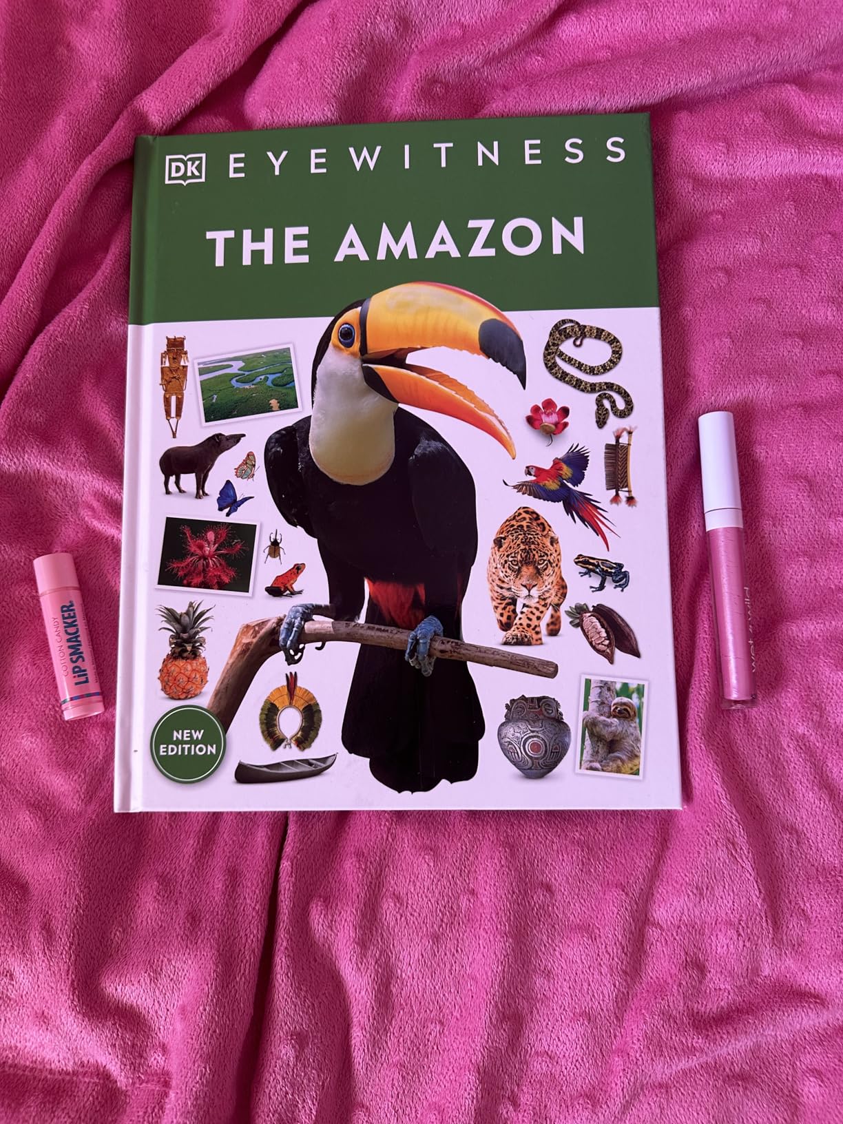 Eyewitness The Amazon (DK Eyewitness): DK: 9780744062540: Amazon.com: Books