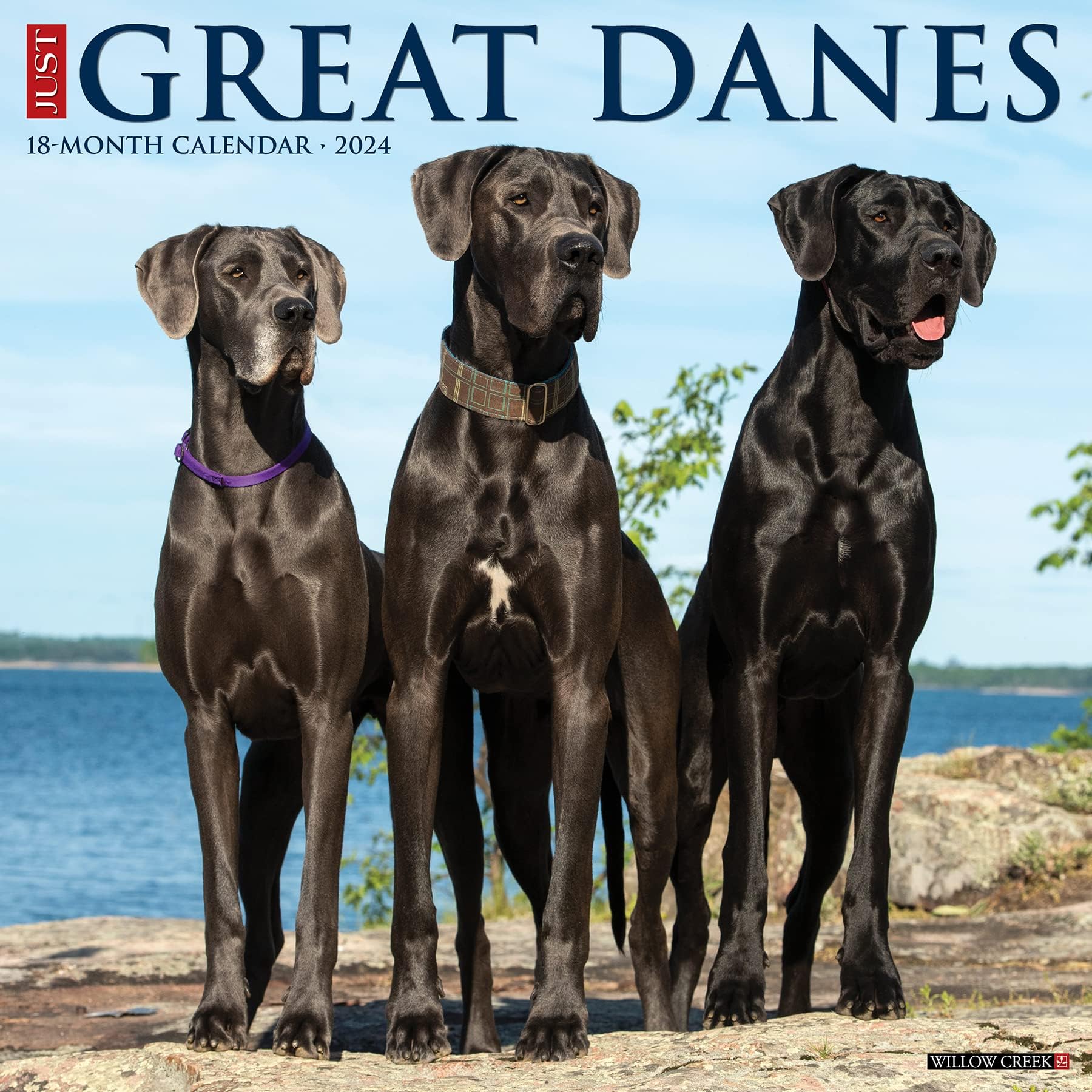 Amazon.com: Great Dane Calendar 2025 Monthly Wall Calender 12 Month ...