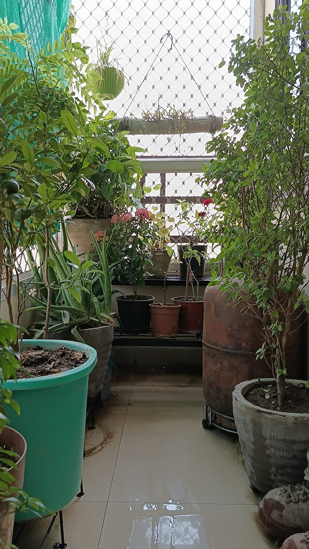 National Industries 2 Step Garden Plant Stand, Metal Step Flower Pot ...