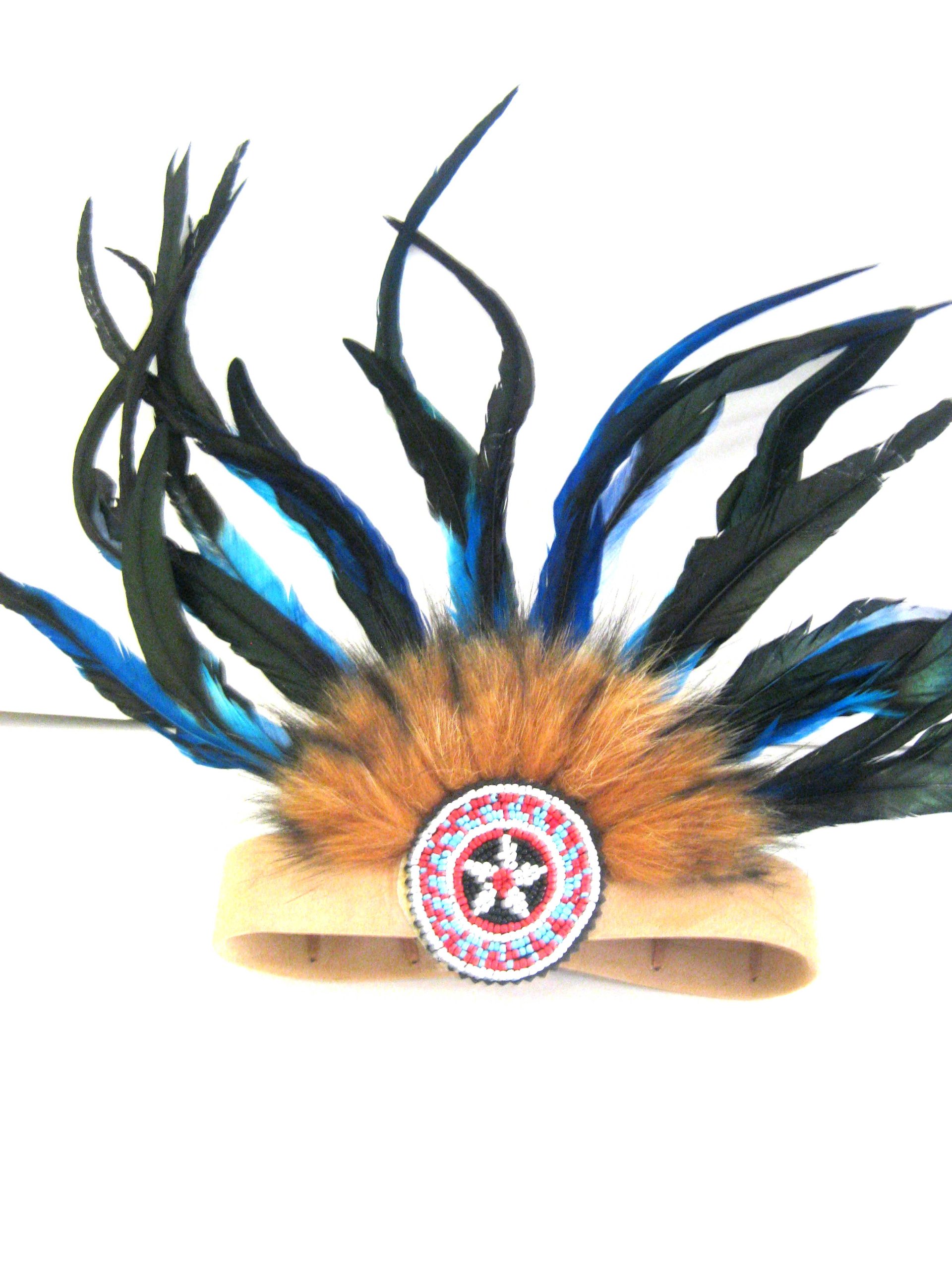 Logotipo De Banda De Plumas Nativas Americanas Buffalo Bison