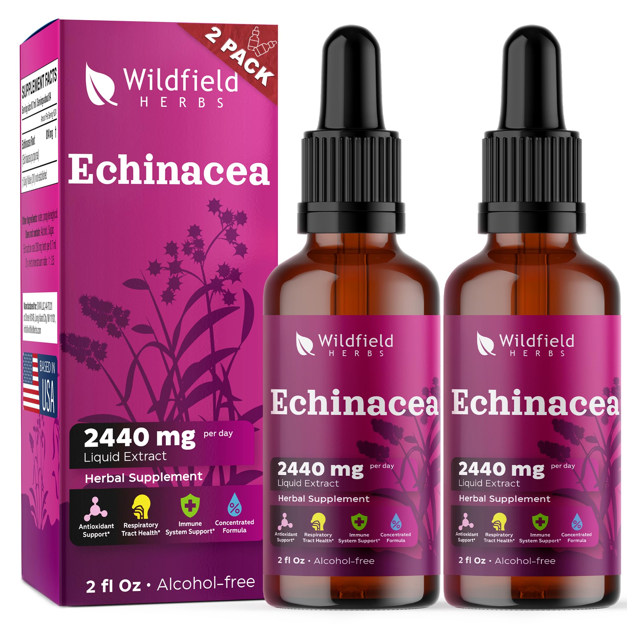 Amazon.com: 4 oz Liquid Echinacea Extract - Echinacea Root Drops ...